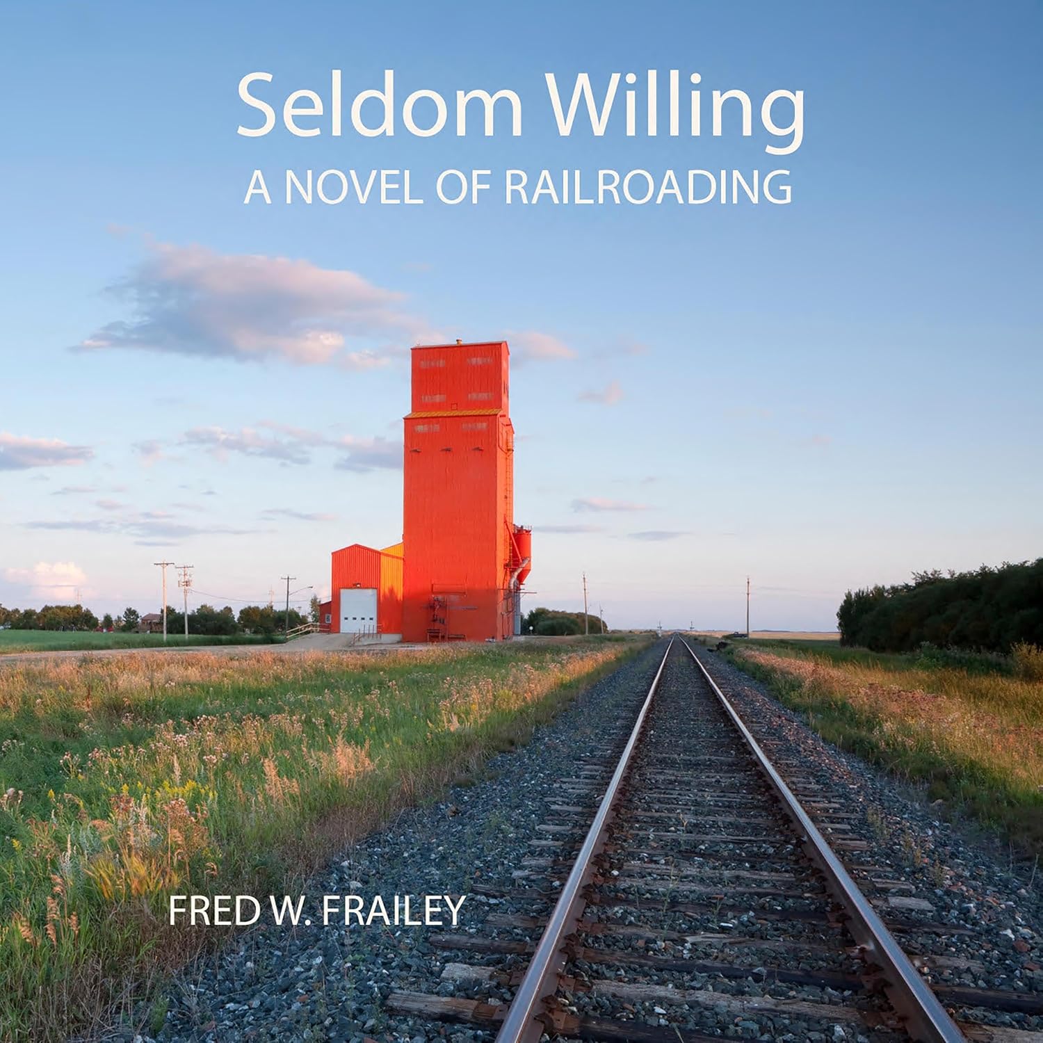 Amazon.com: Seldom Willing: A Novel of Railroading (Audible Audio ...