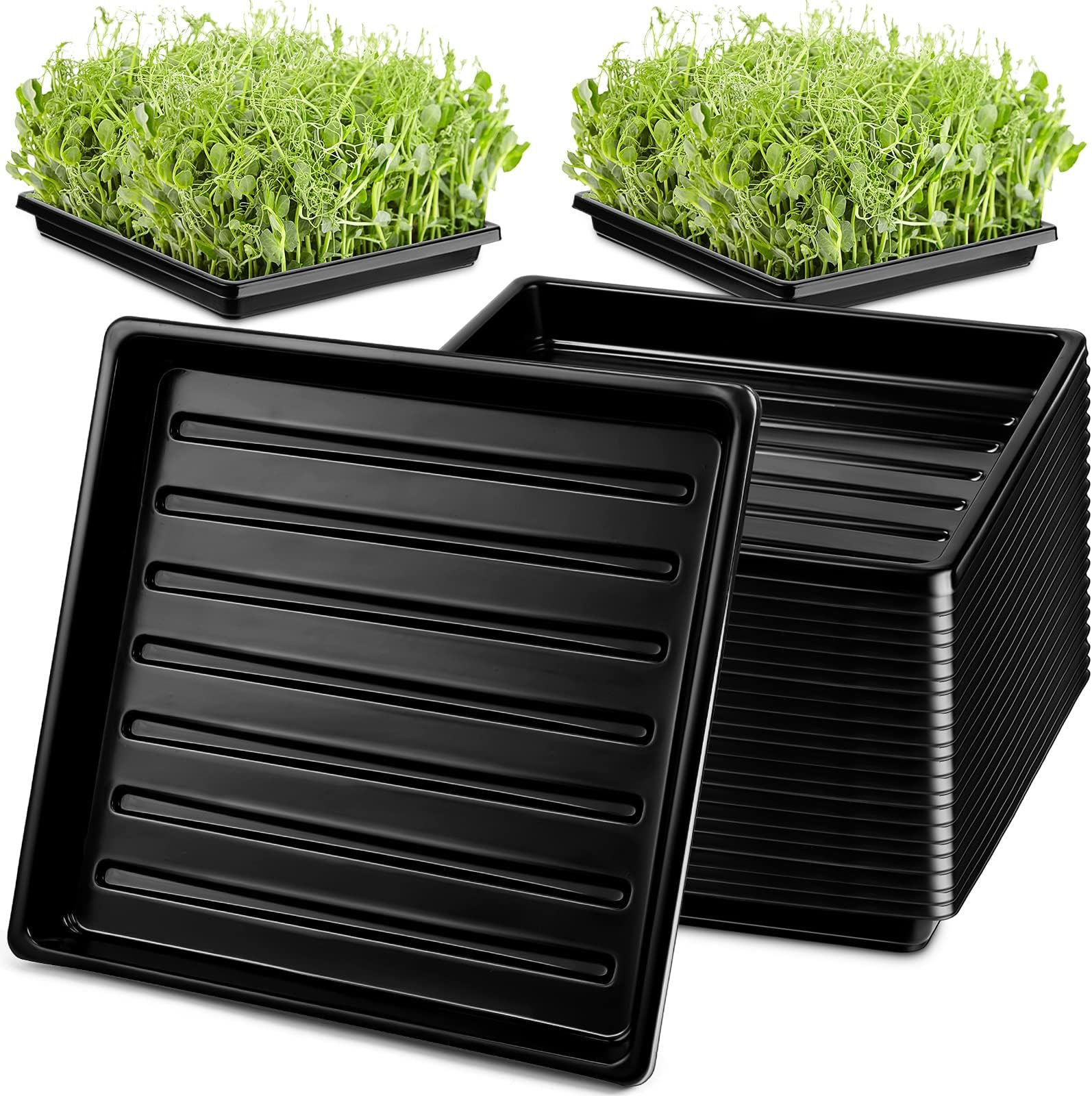 Amazon.com : 10-Pack 1020 Garden Growing Trays Without Drain Holes - 10 ...