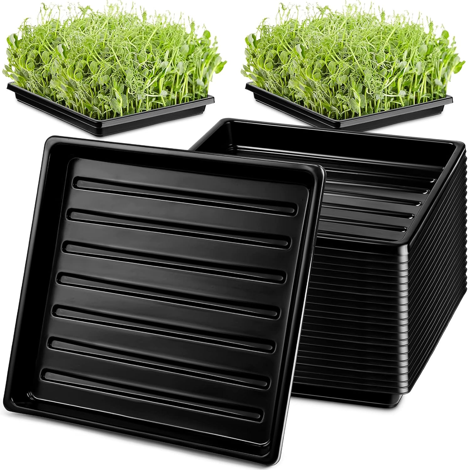 Amazon.com : 20 Pcs 10.6'' x 10.6'' Microgreens Growing Trays Plastic ...