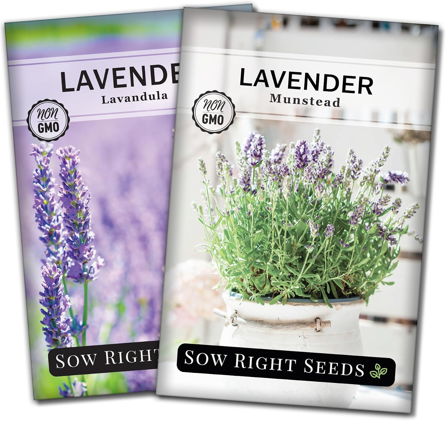 Amazon.com : Sow Right Seeds - Lavender Seed Collection for Planting ...