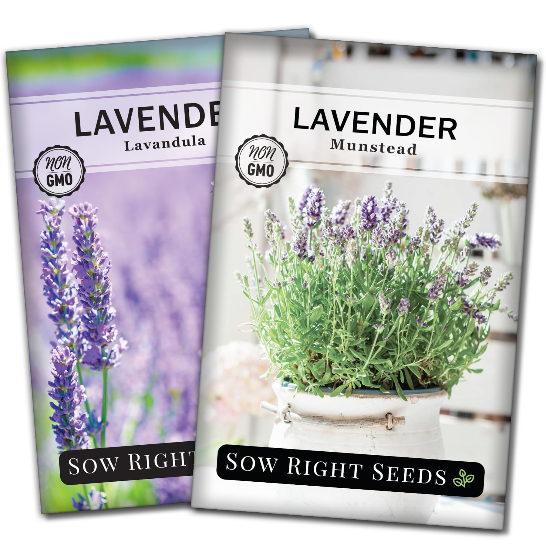 Amazon.com : Sow Right Seeds - Lavender Seed Collection for Planting ...