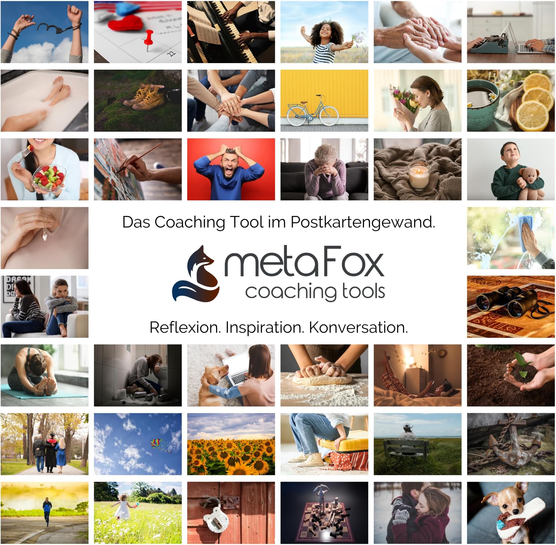 metaFox - Coaching Karten - Bildkarten Set ORIGINAL - Impulskarten für ...