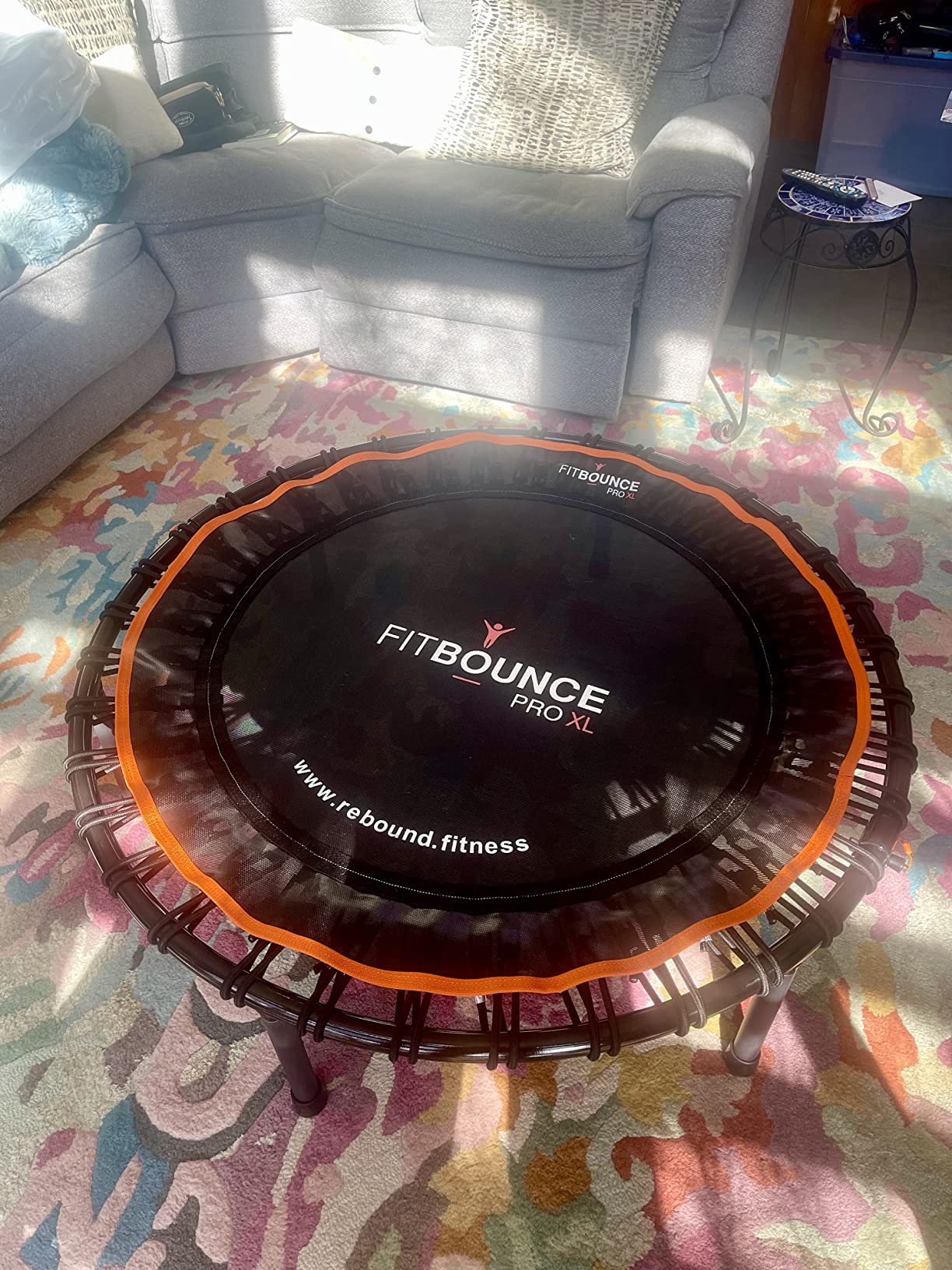 $42/mo - Finance FIT Bounce PRO XL Premium Bungee Rebounder USA | Half ...