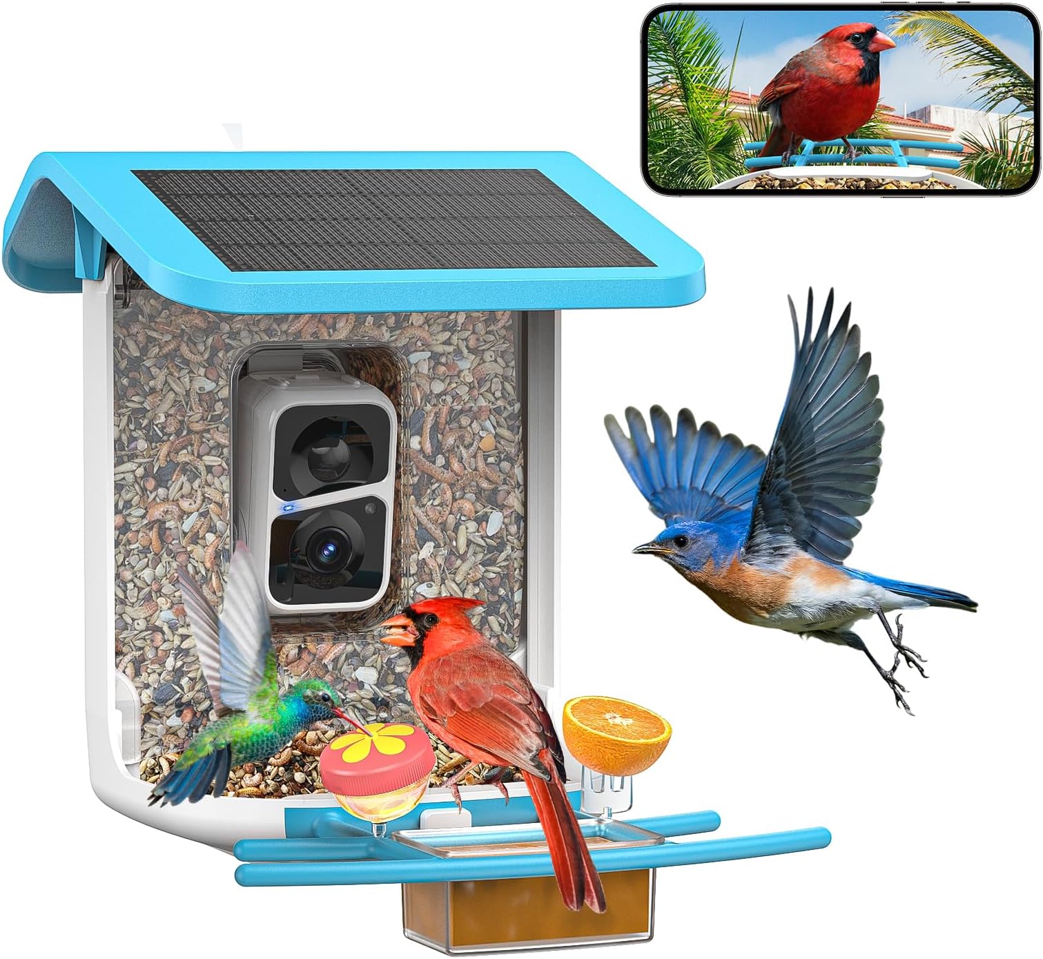 Amazon.com : SMONET Bird Feeder with Camera B300: Smart Birdhouse ...