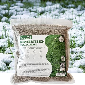 Amazon.com : Groundio Winter Rye Seeds, 3lbs Non-GMO Cover Crop Seeds ...
