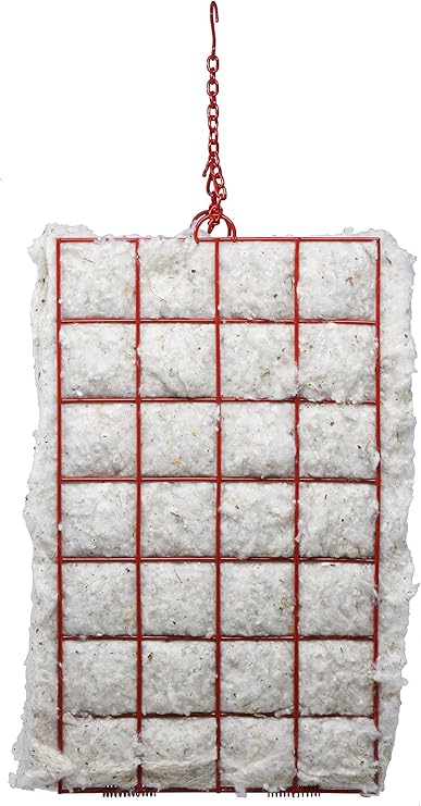 Amazon.com: Songbird Essentials SE7021 Hummer Helper Cage and Nesting ...