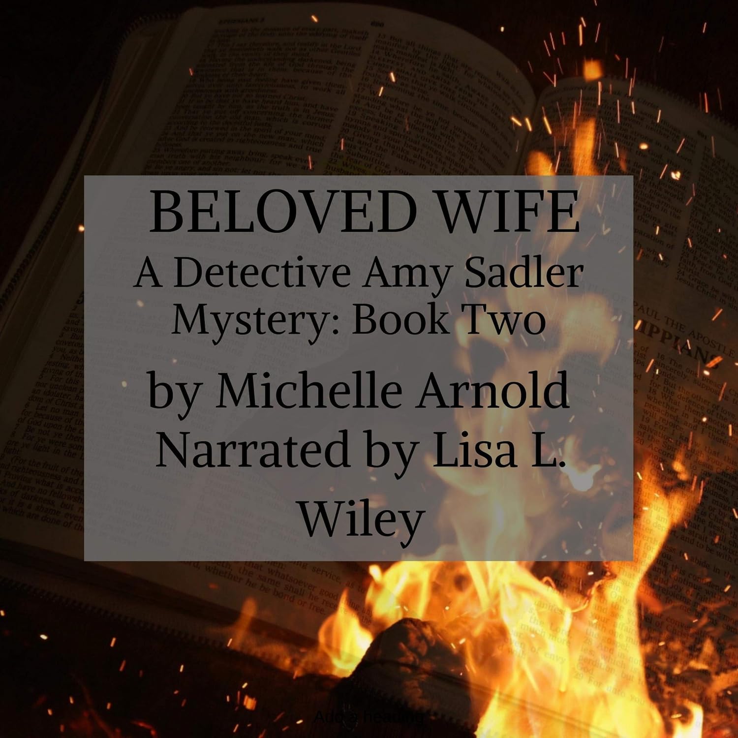 Amazon.com: Beloved Wife: A Detective Amy Sadler Mystery, Book 2 ...
