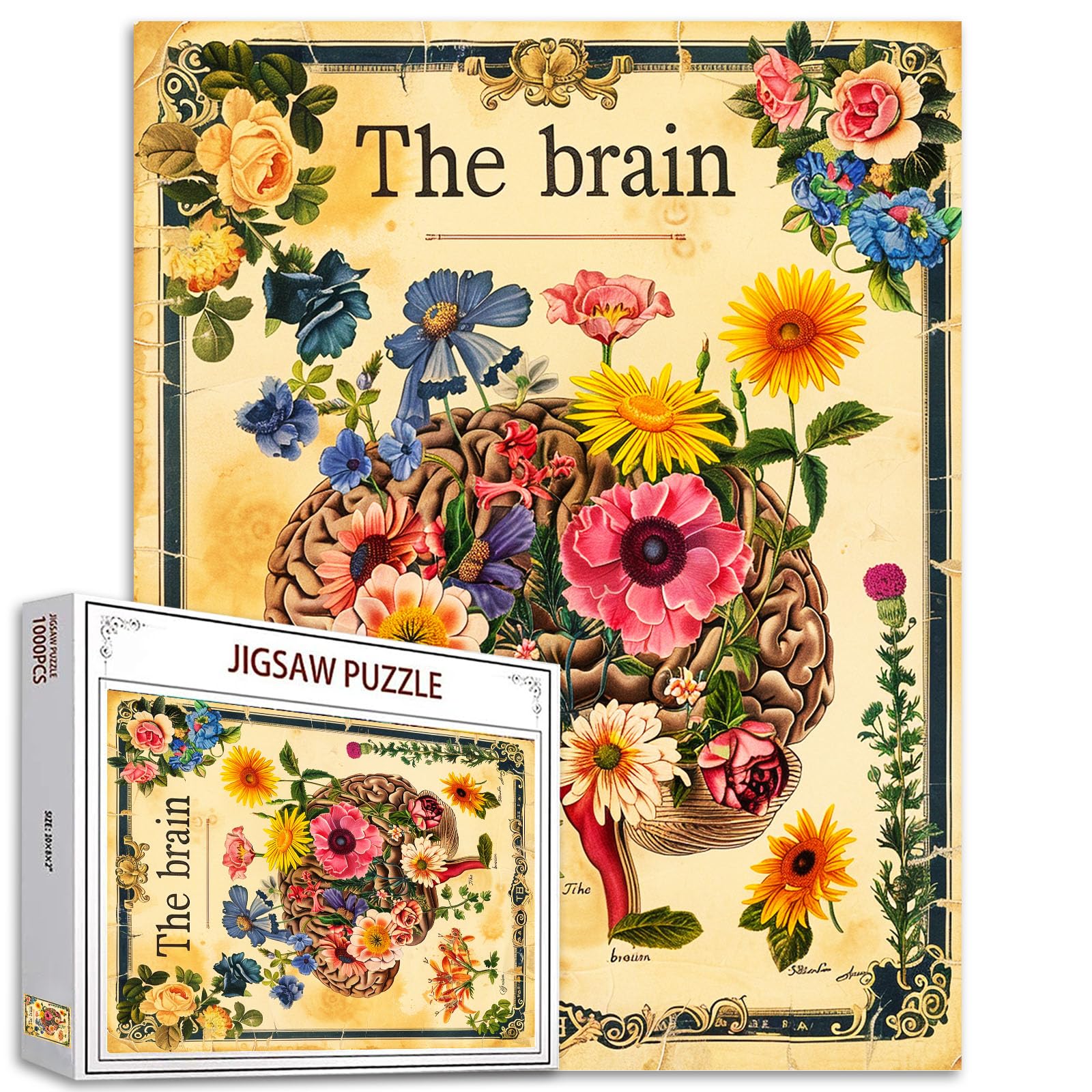 Amazon.com: Brains Flowers Art Jigsaw Puzzle Vintage Human Organ ...