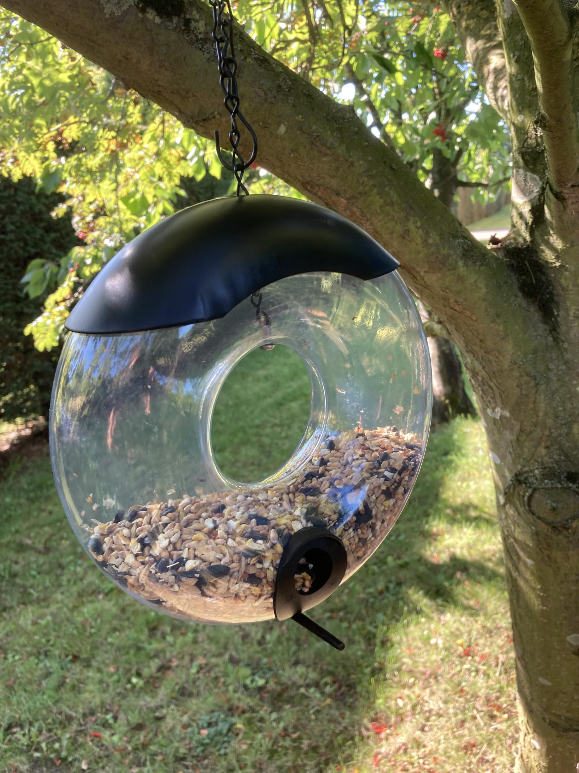 Oakdale Donut Seed Bird Feeder – BigaMart