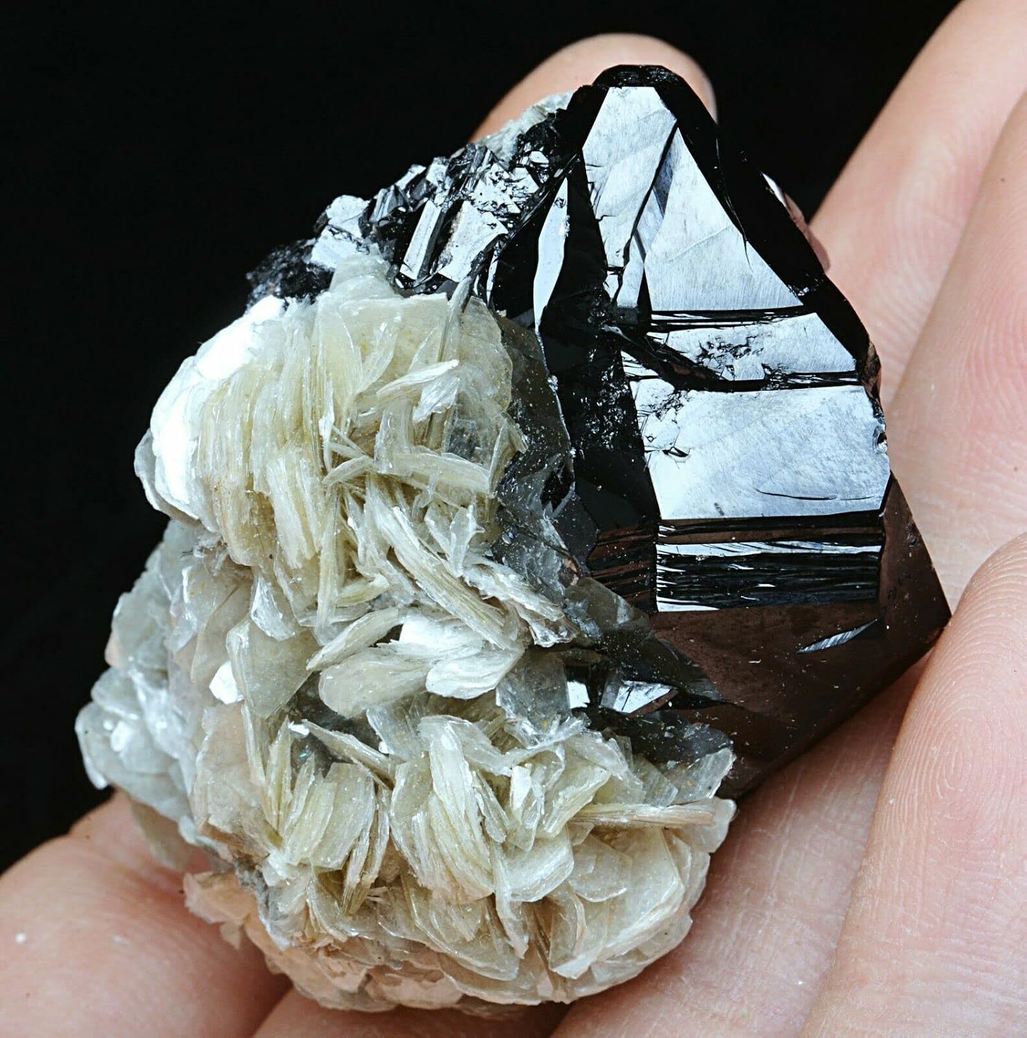 Amazon.com: LABDIP Home Collections 87g Natural Cassiterite Mica ...