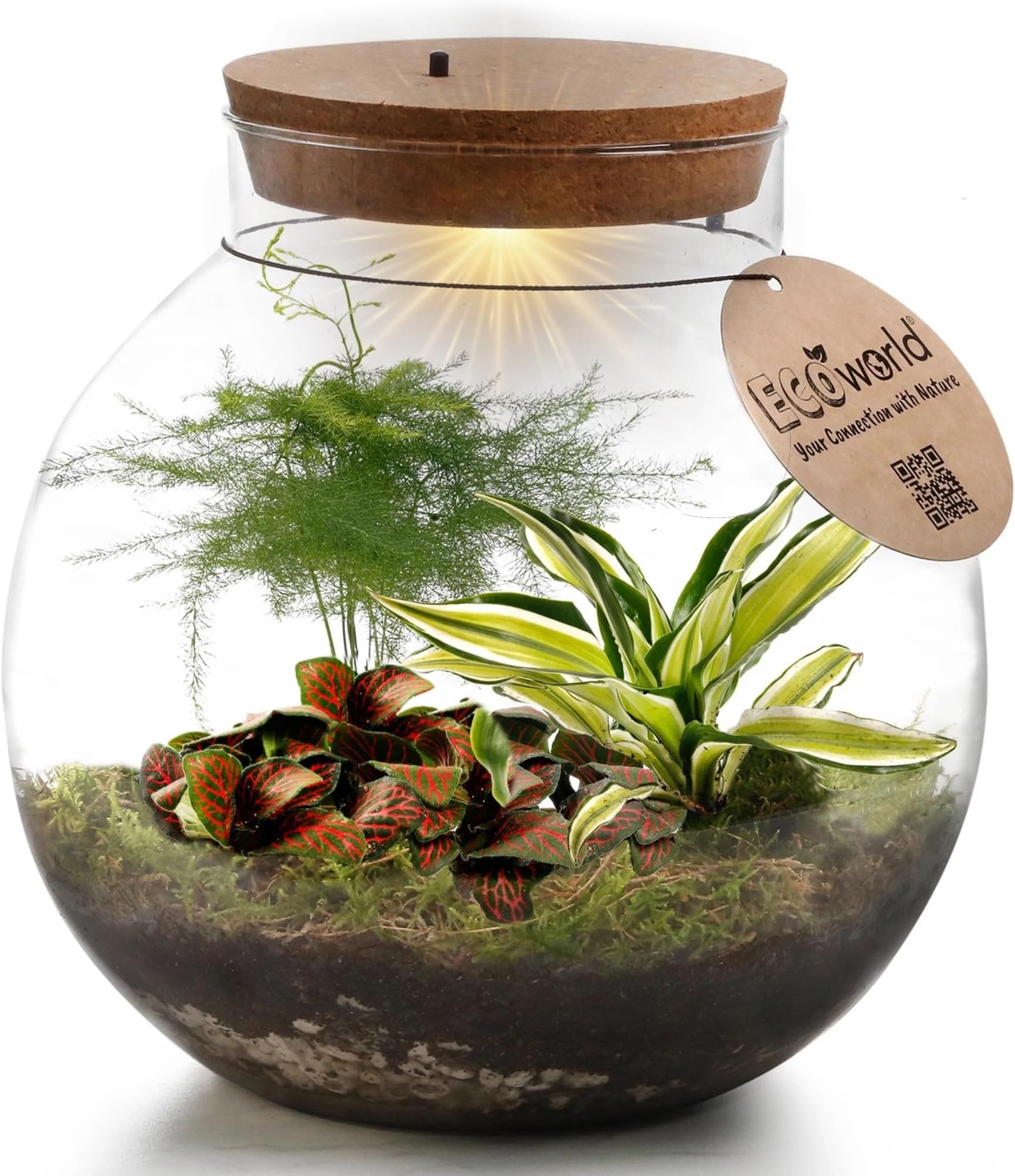 Ecosphere Kugel 10 cm - Mini Aquarium : Amazon.de: Haustier