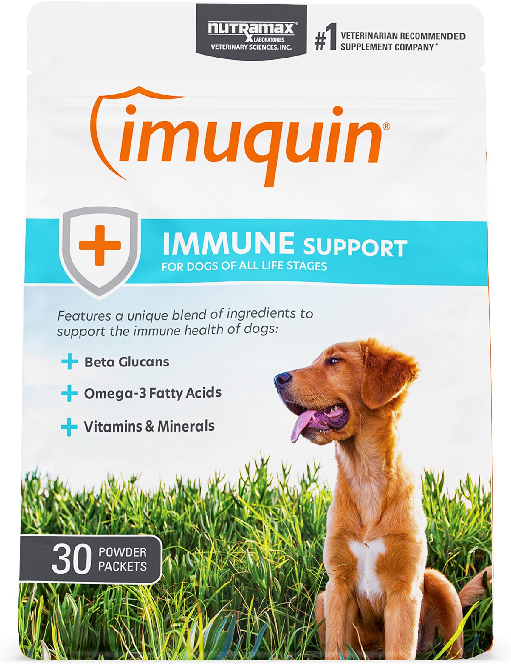 Amazon.com : Nutramax Dermaquin® Skin Support Supplement for Large Dogs ...