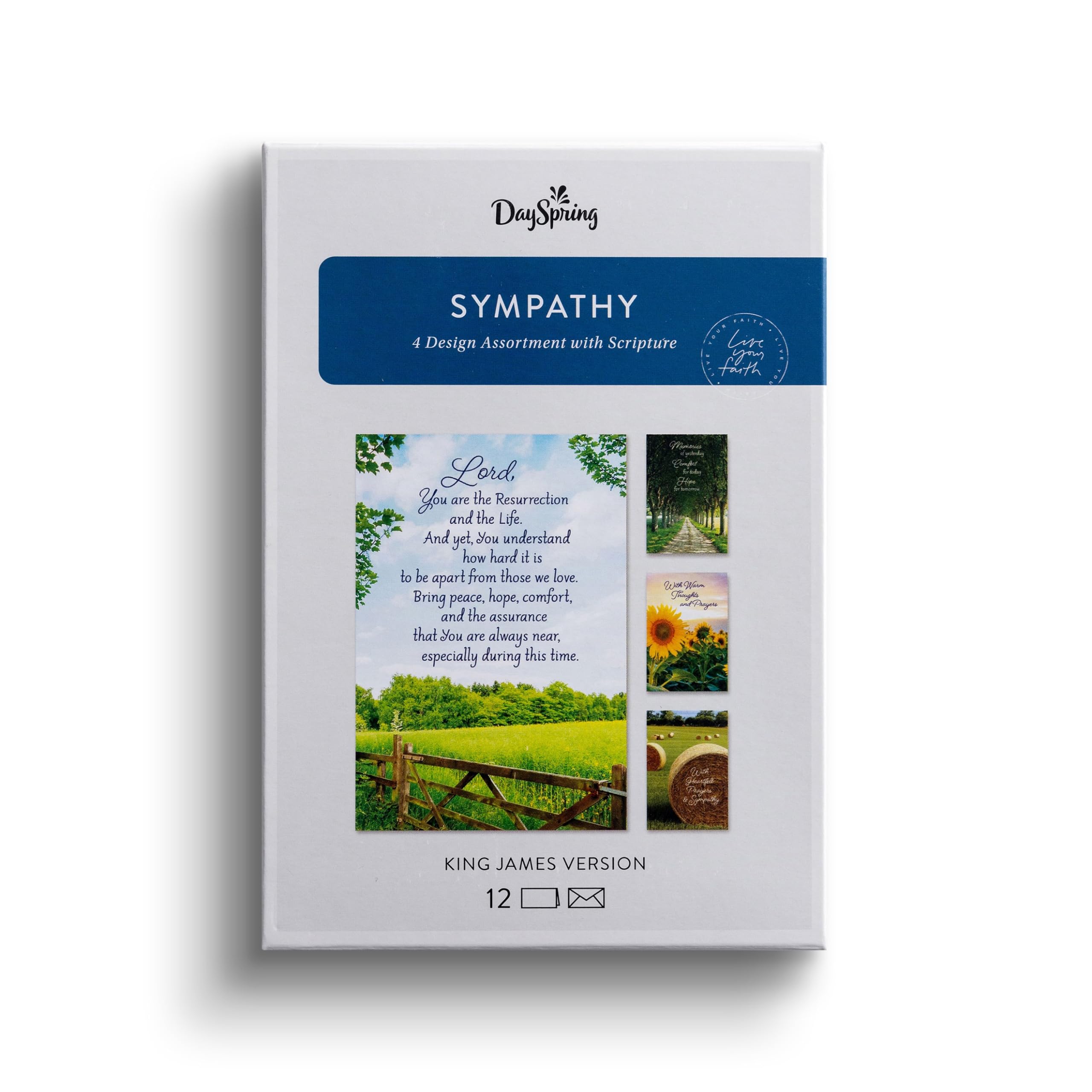 Amazon.com : DaySpring - Sympathy - 4 Design Assortment with King James ...