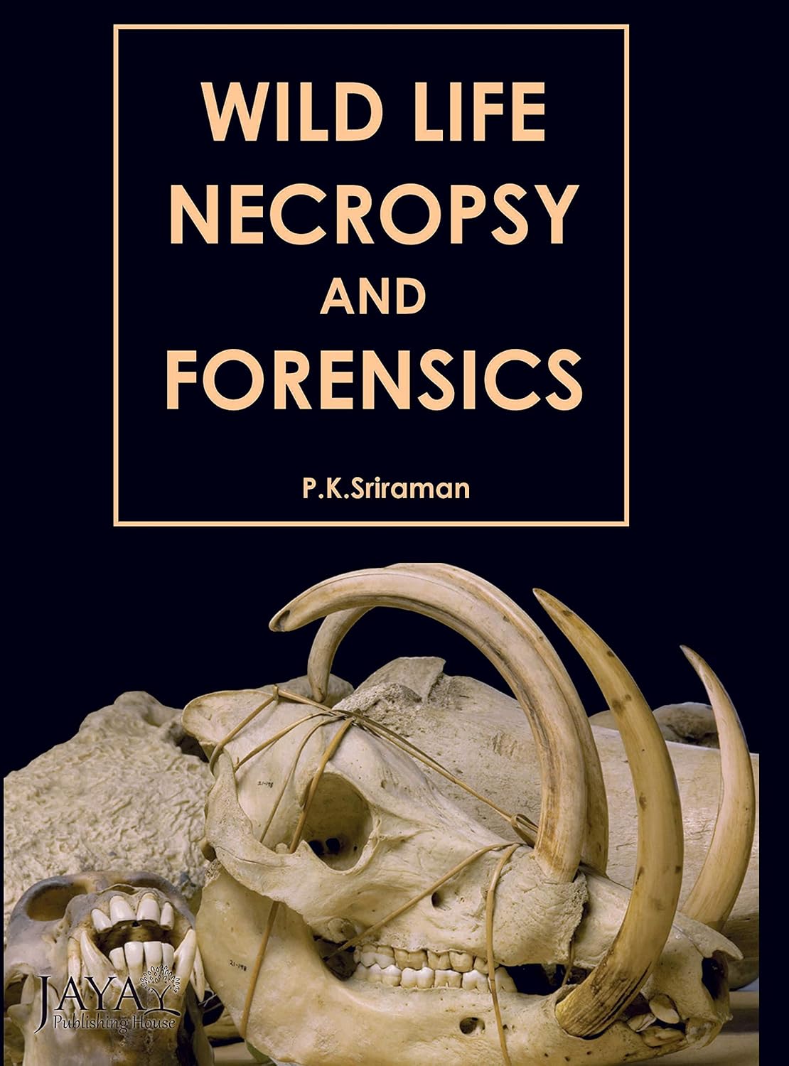 Wildlife Necropsy & Forensics: P K Sriraman: 9789387590243: Amazon.com ...