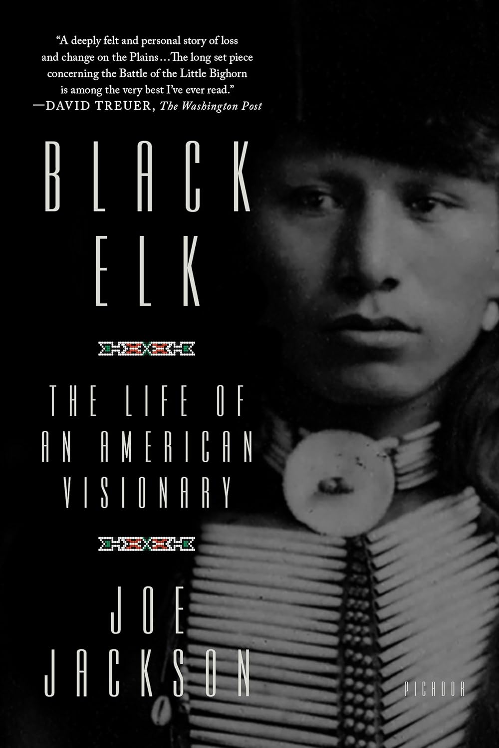 Black Elk: The Life of an American Visionary: Jackson, Joe ...