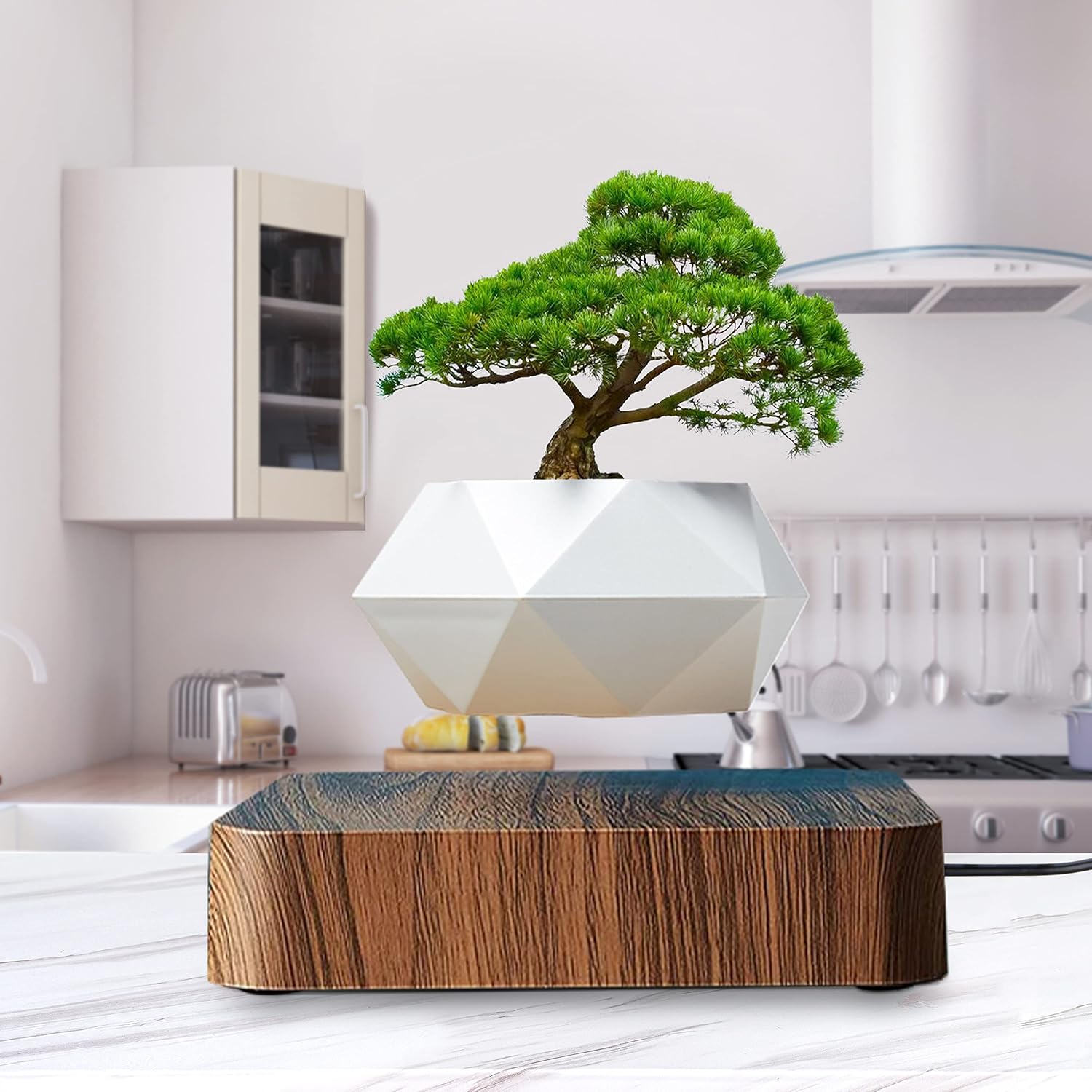 Amazon.com : HOMEXXPRESS Levitating Plant- Floating Plant Pot ...