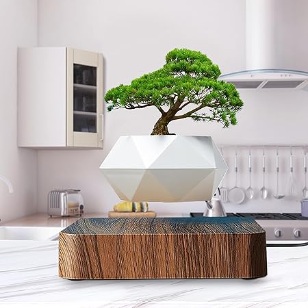 Amazon.com: Flyte Lyfe Magnetic Floating Levitating Plant Pot for ...