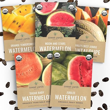 Amazon.com : Pumpkin Seeds Home Garden Organic Variety Pack - Non-GMO ...