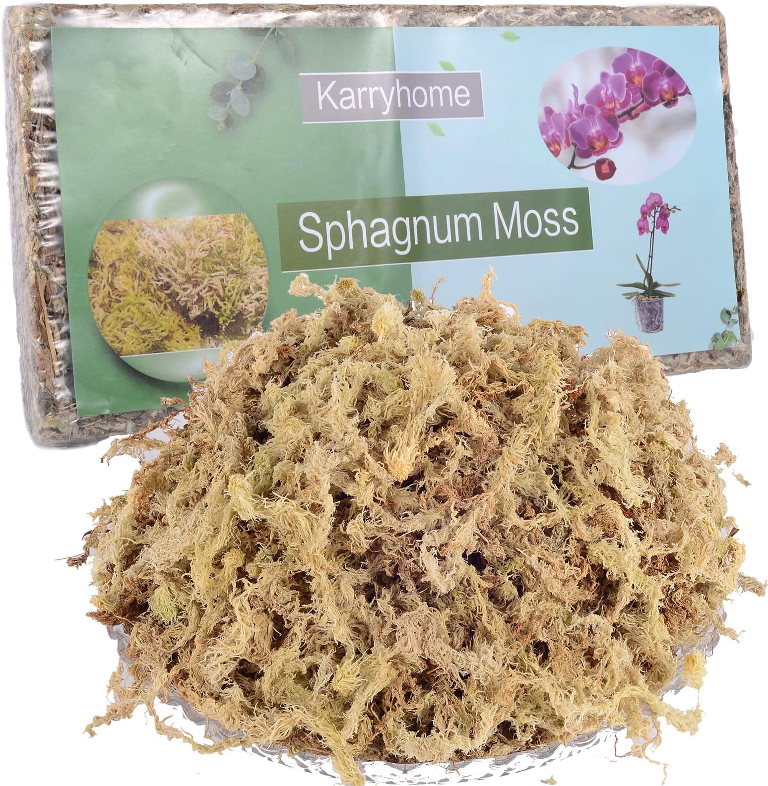 Amazon.com : 5OZ Sphagnum Moss for Plants Natural Moss for Potted ...
