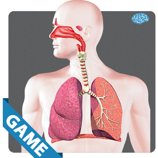 RESPIRATORY ANATOMY GAME - App on Amazon Appstore