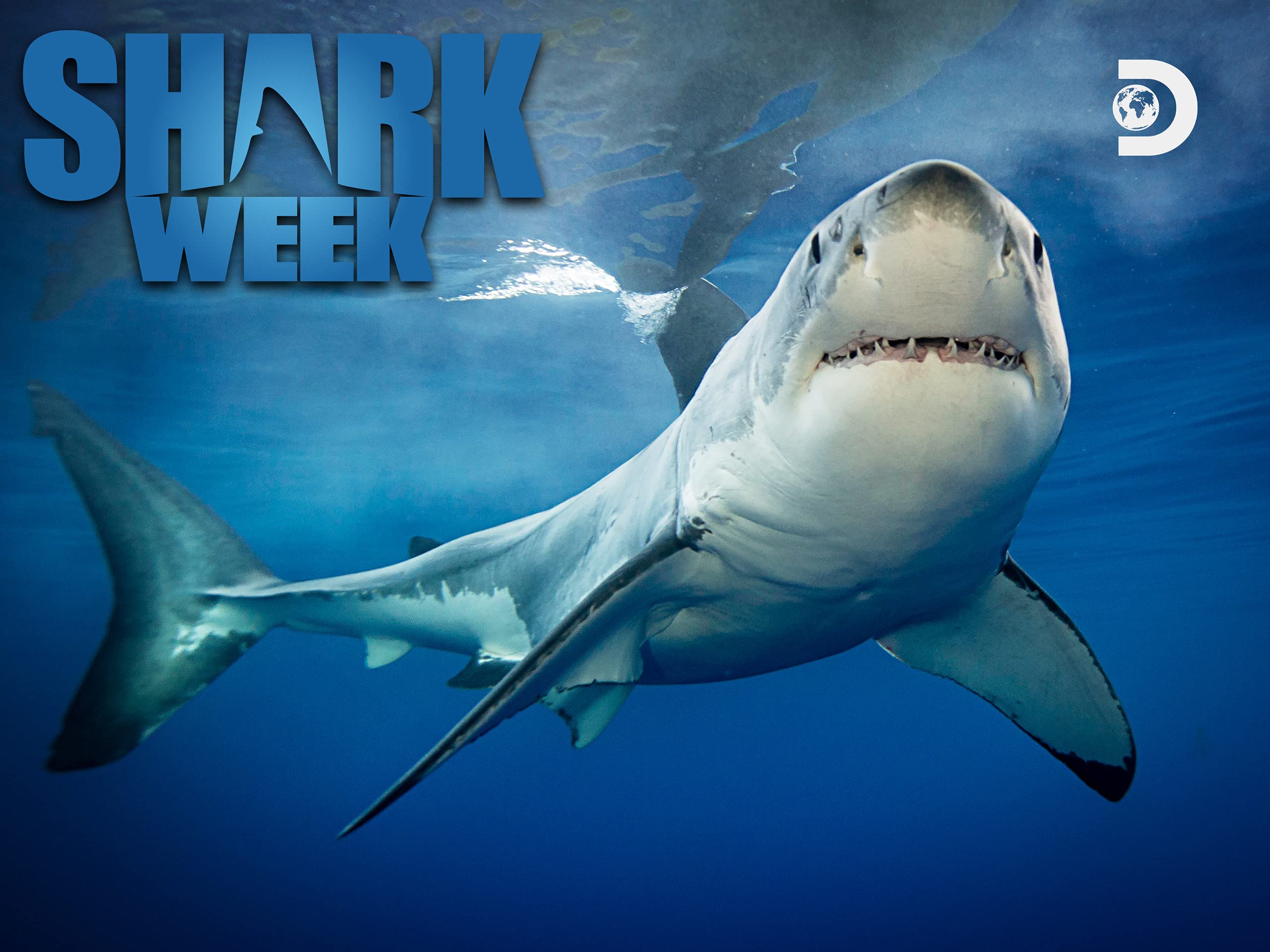 Amazon.de: Shark Week 2018 - Season 1 ansehen | Prime Video