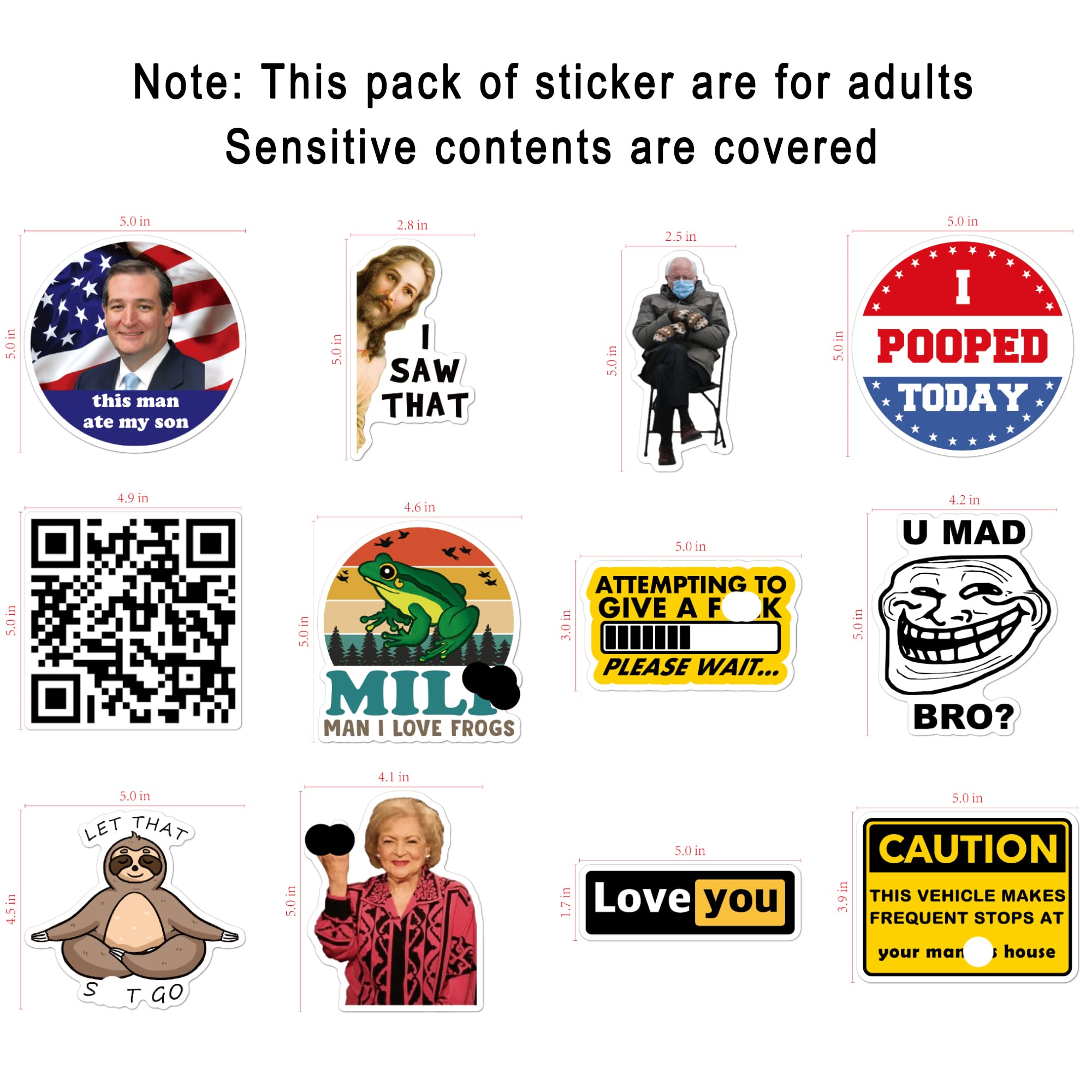 Snapklik.com : 20pcs Funny Bumpers Stickers For Adults, Large 5 Car ...
