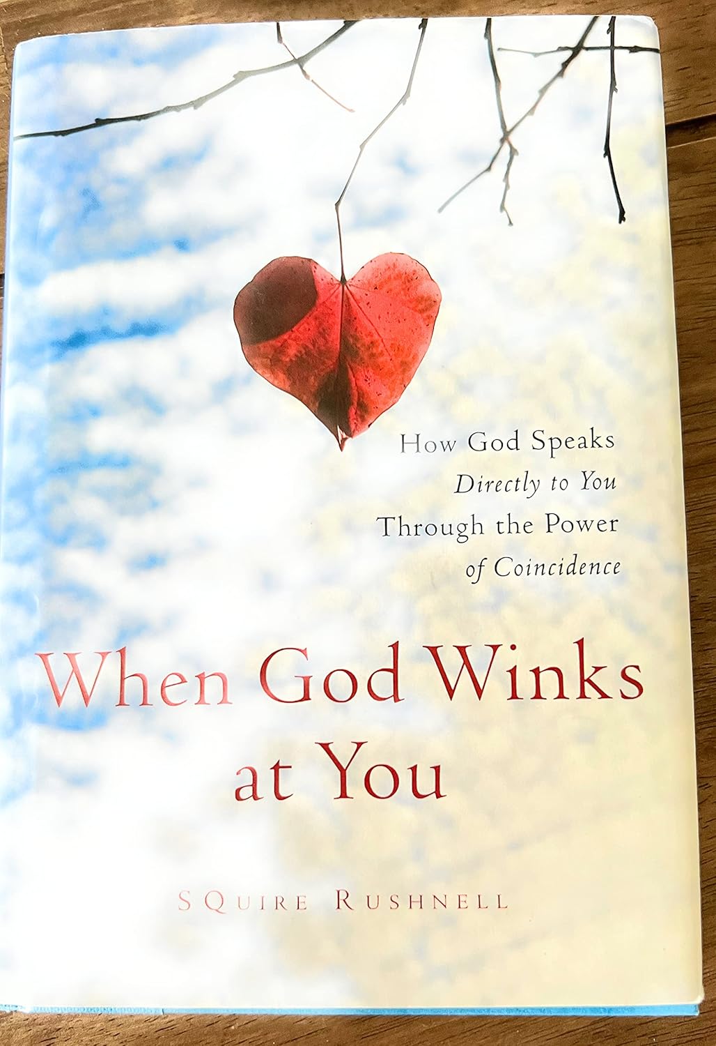 When God Winks at You: How God Speaks Directly to You Through the Power ...