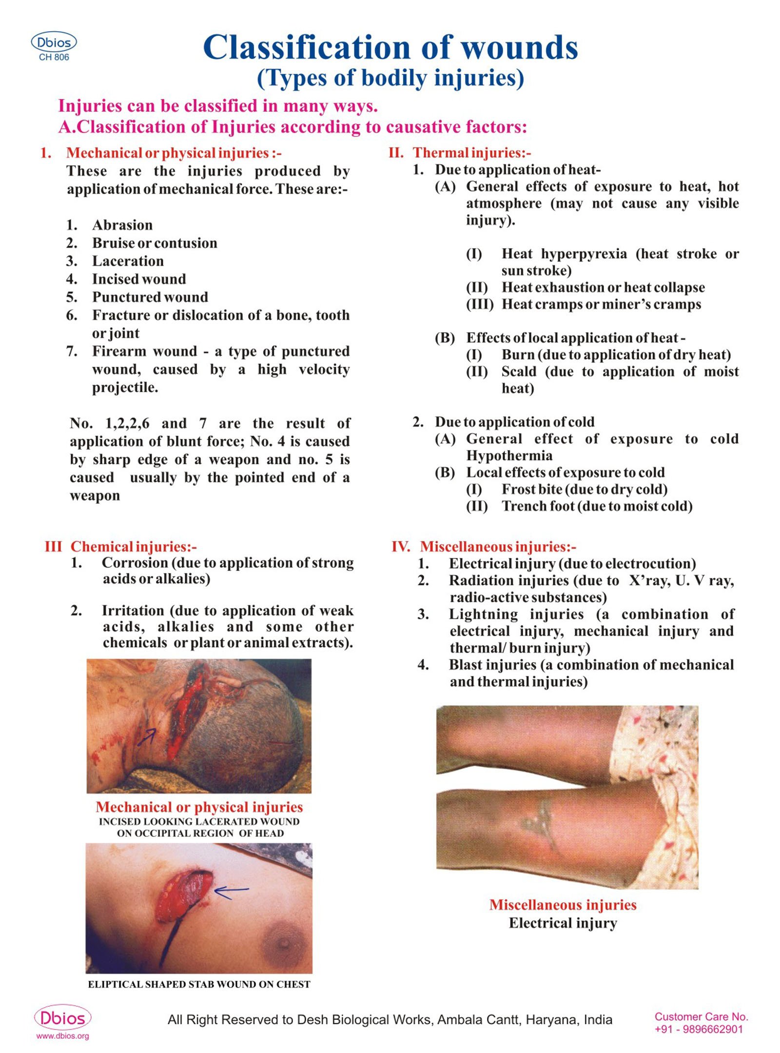 Dbios Digitally Printed Classification Of Wounds Laminated Poster ...