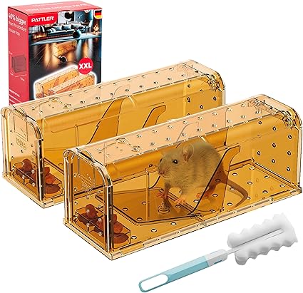 Amazon.com : PATTLER® | New Large Humane Mouse Trap for Indoor and ...