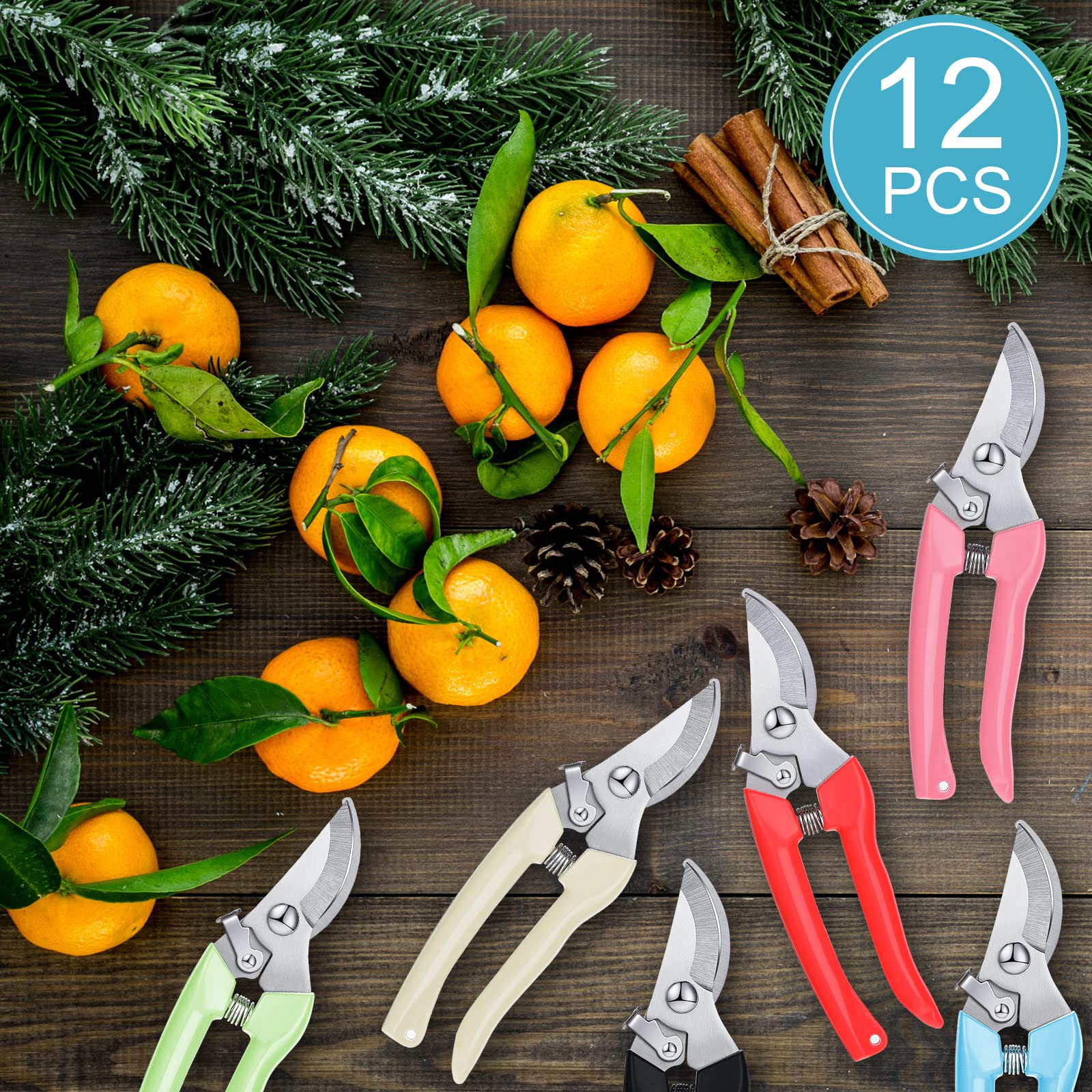 Snapklik.com : Lothee 12 Pcs Gardening Scissors Pruning Shears ...
