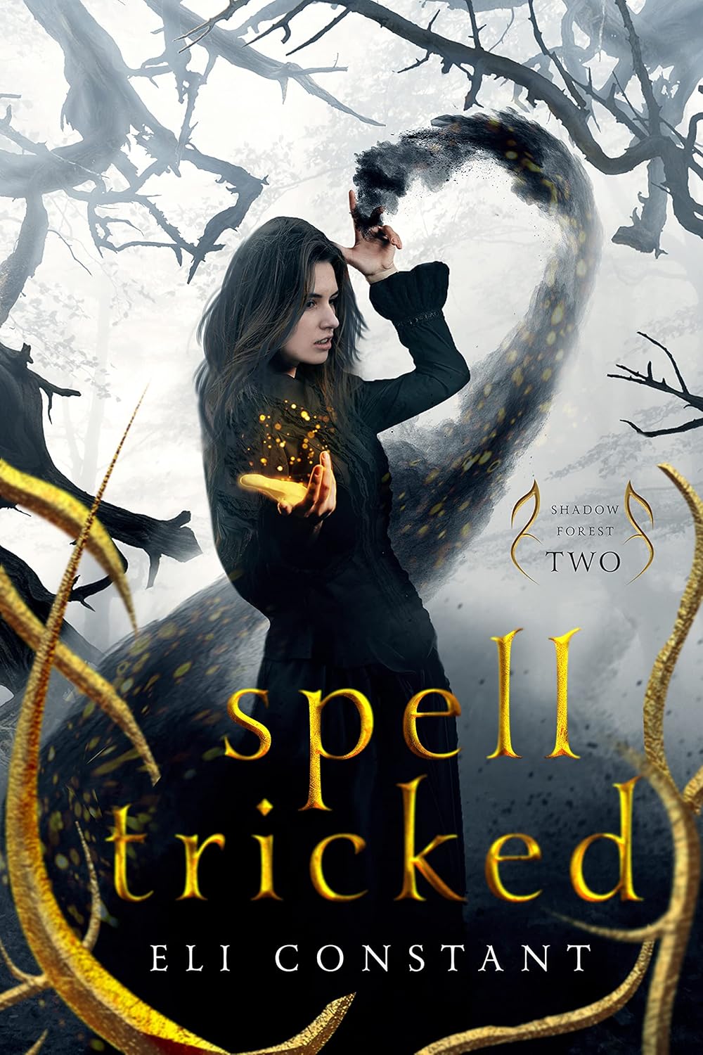 Spell Tricked: A Young Adult Fantasy (Shadow Forest Book 2) eBook ...