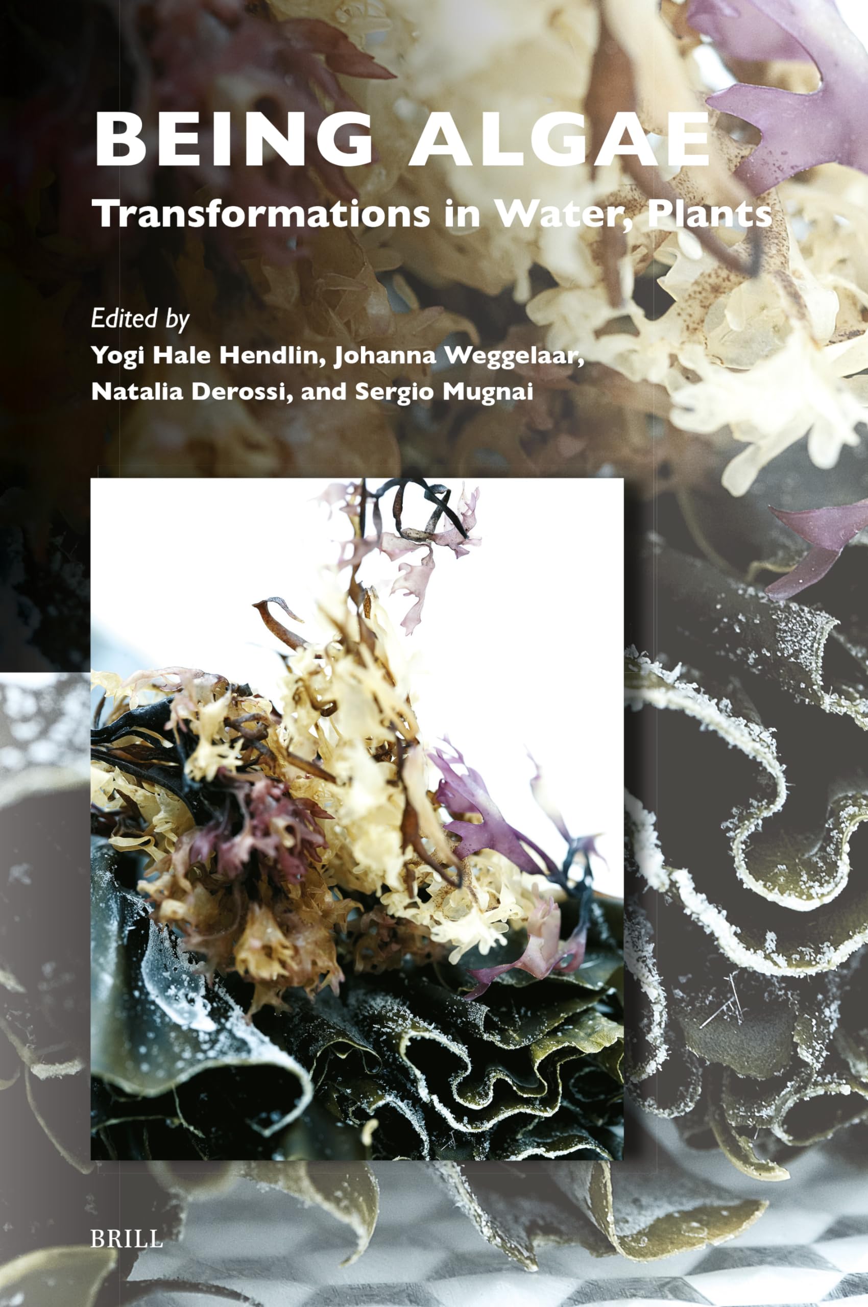 Buy Being Algae: Transformations in Water, Plants: 8 (Critical Plant ...