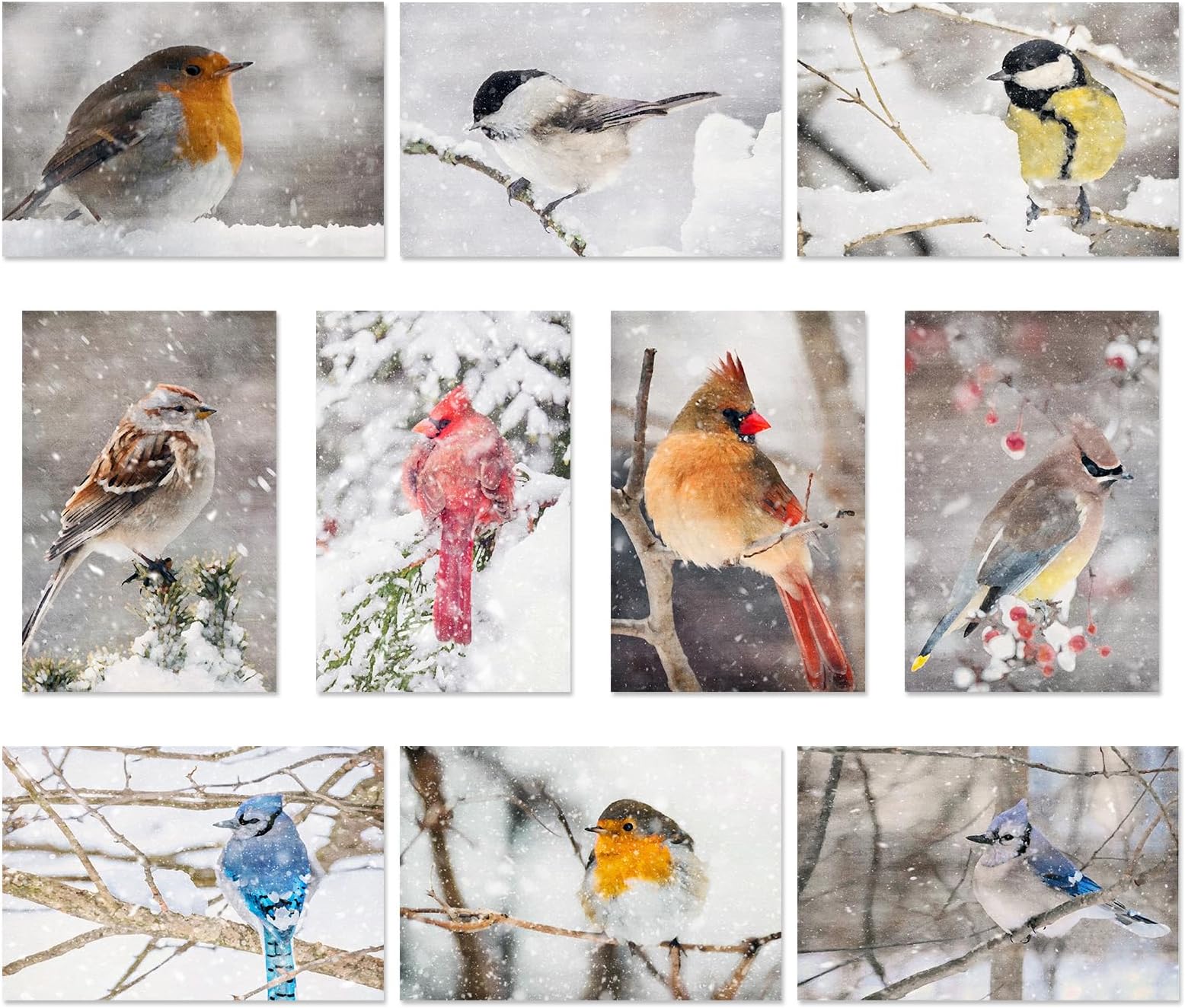 Amazon.com : AnyDesign 30 Pack Winter Greeting Cards Bulk Cute Birds ...