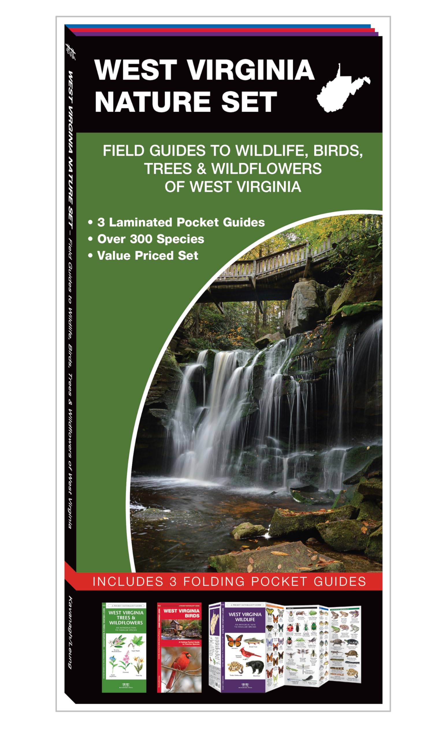West Virginia Nature Set: Field Guides to Wildlife, Birds, Trees ...