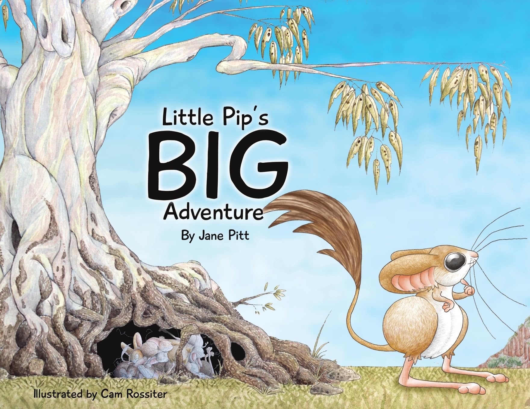 Little Pip's Big Adventure: Pitt, Jane, Rossiter, Cam: 9781398411067 ...