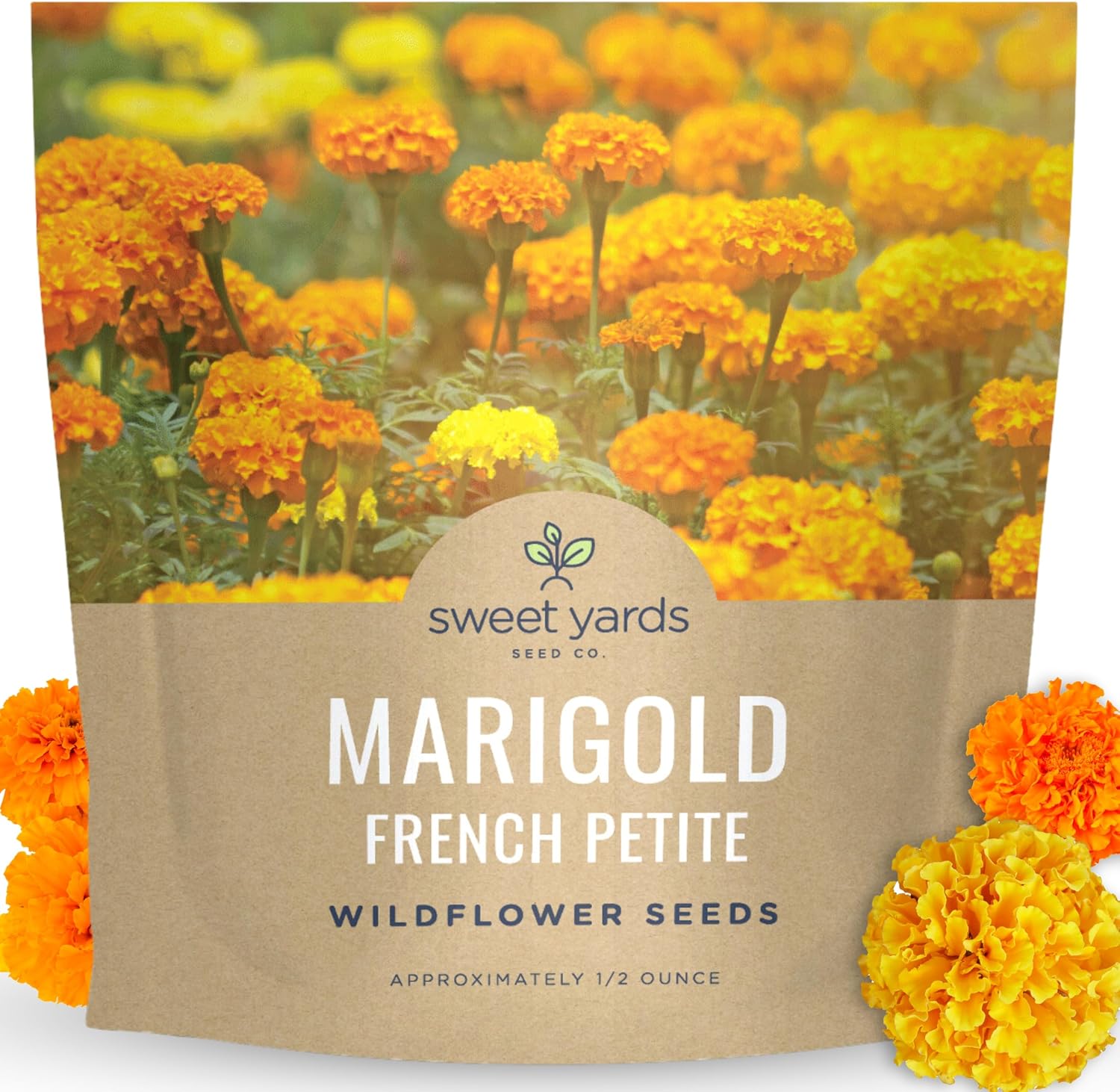 Amazon.com: Marigold French Petite - Large 1/2 Ounce Packet - 4,000 ...