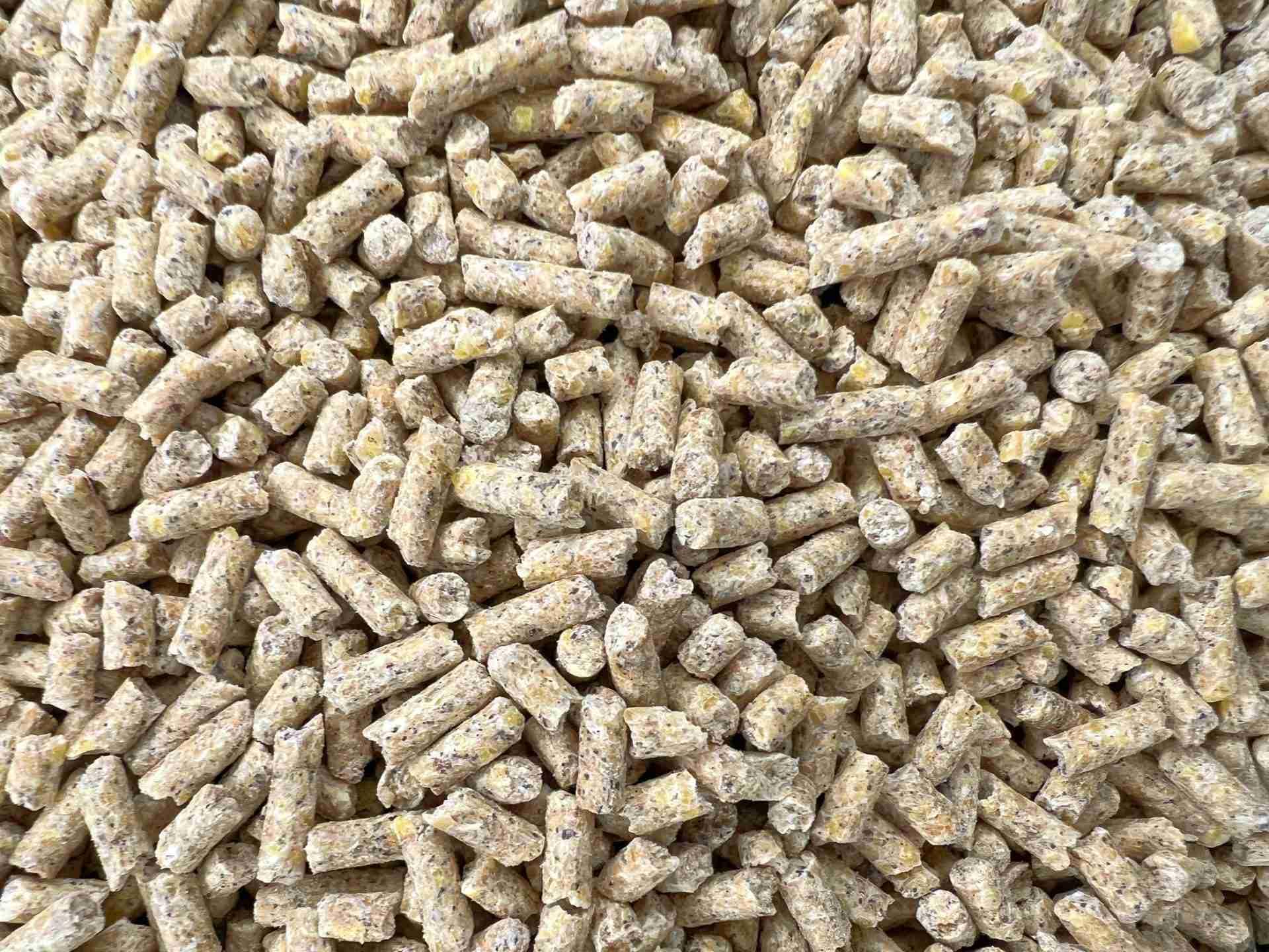 Amazon.com: DelightFood - Complete Duck Feed for All Life-Stages ...