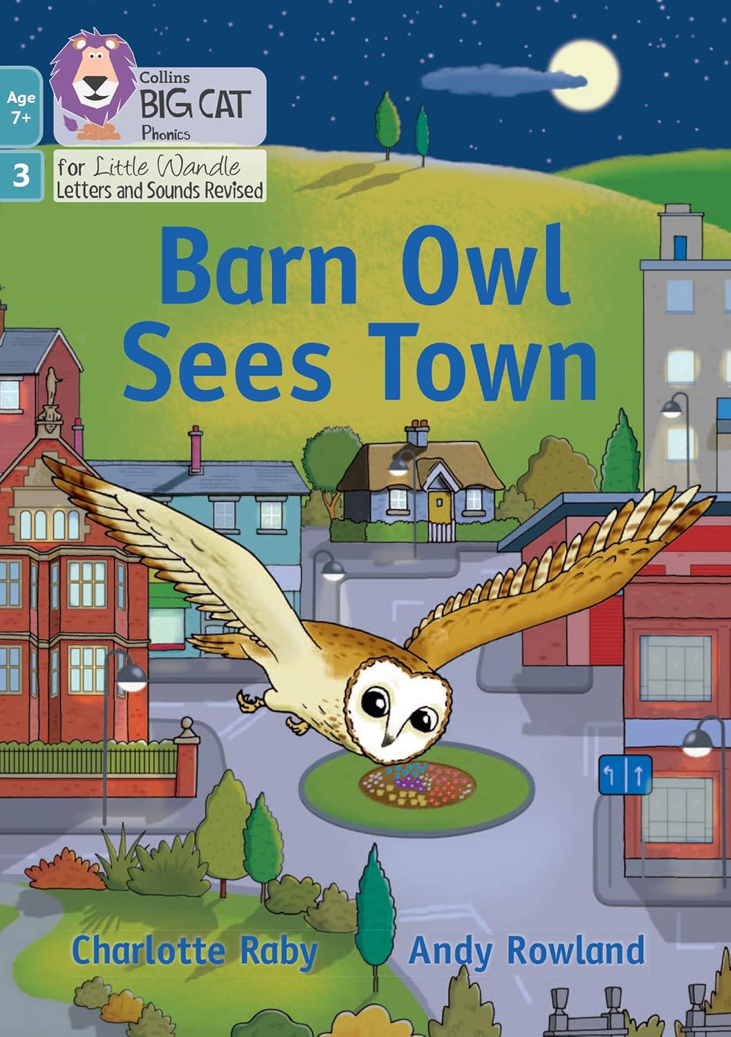 Barn Owl Sees Town: Phase 3 Set 1 Blending Practice: اشتري اون لاين ...
