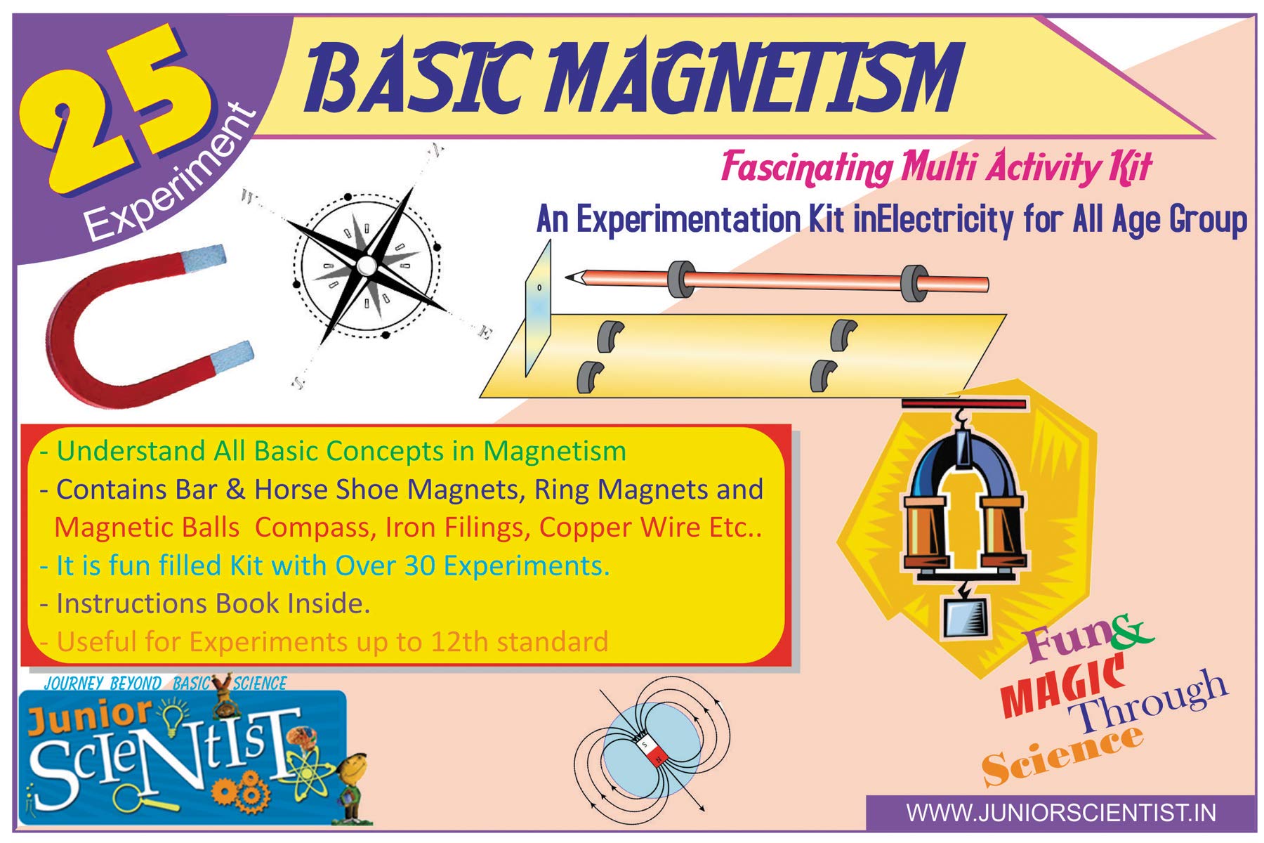 Buy Basic Magnetism (25 Activity) - (DO IT Yourself Science Activity ...
