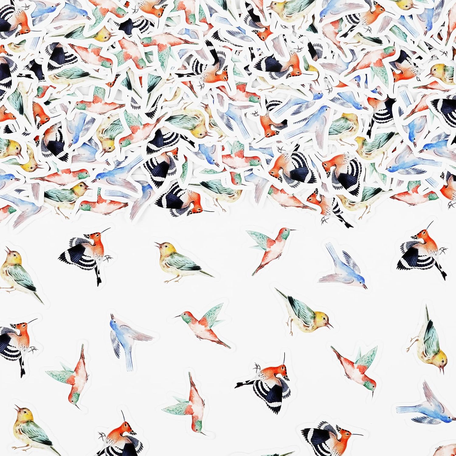 Amazon.com: Jollyboom 200Pcs Bird Birthday Party Decoration Confetti ...