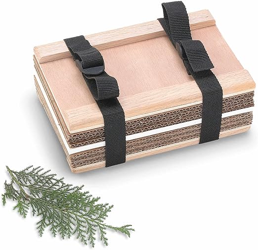 Amazon.com : Forestry Suppliers Student Plant Press, Small, 6" x 9 ...