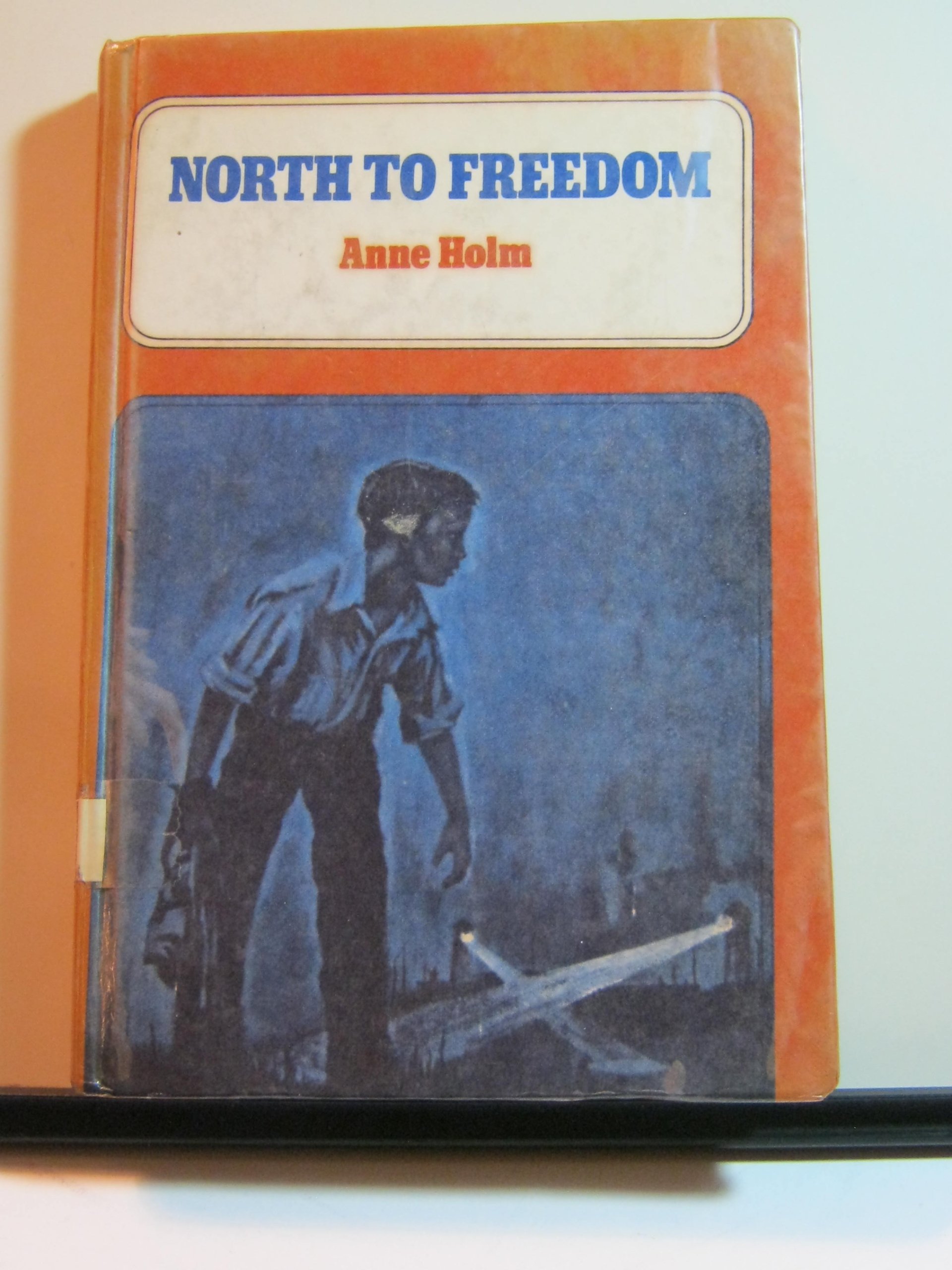 North to Freedom: Anne Holm, L. W. Kingsland: 9780153329913: Amazon.com ...