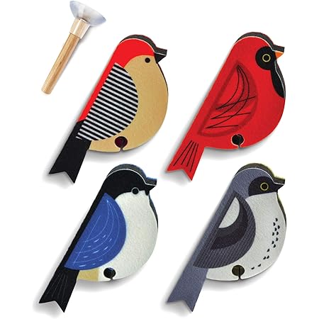 Amazon.com: Genuine Fred Subversive Sponges, R Version, Embroidered ...