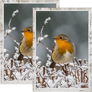 Amazon.com - CTBRT 24x36 Poster Frames 2 Pack Rustic 24 by 36 White ...