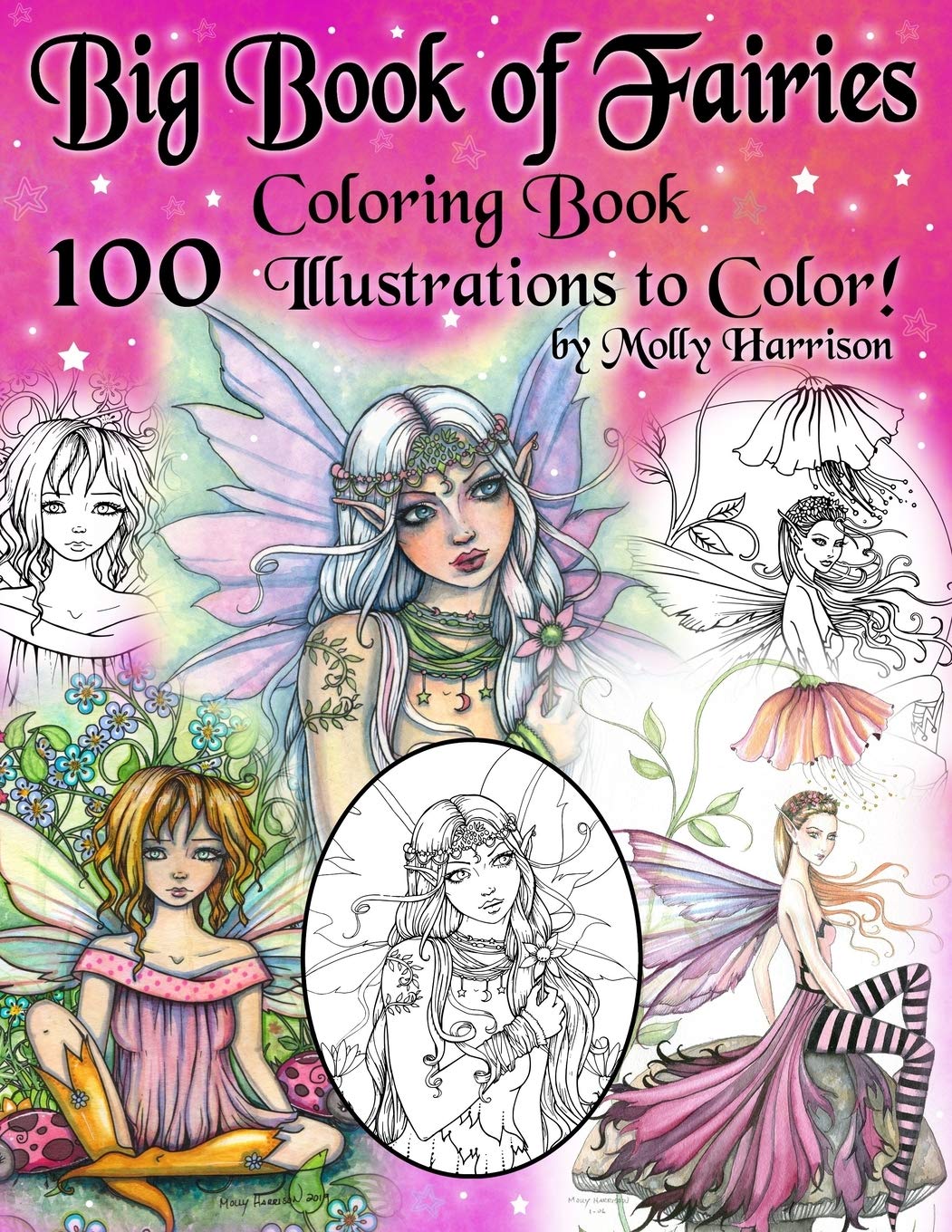 Big Book of Fairies Coloring Book - 100 Pages of Flower Fairies ...