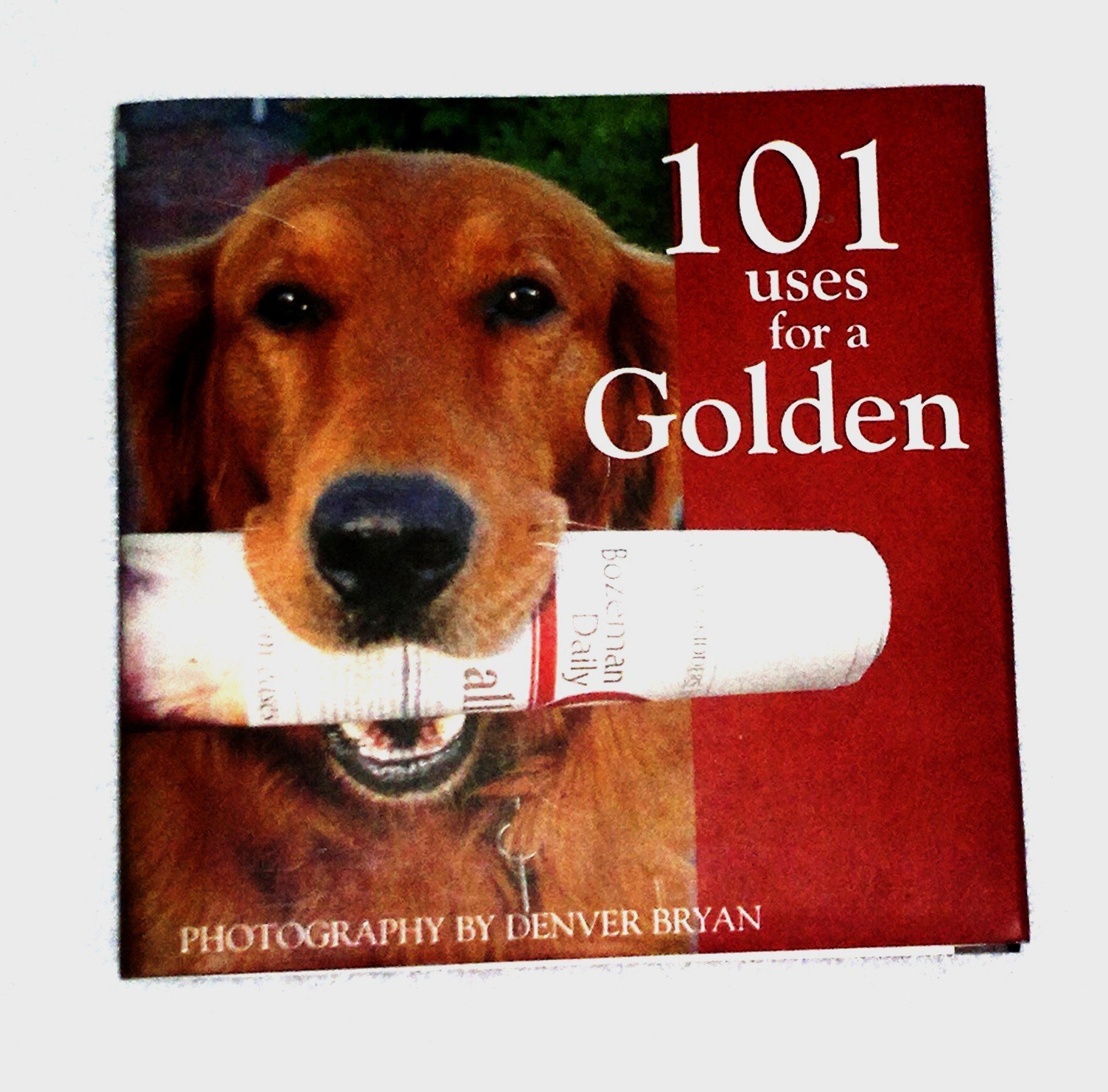 101 Uses for a Golden Retriever: Bryan, Denver, Bryan, Denver ...