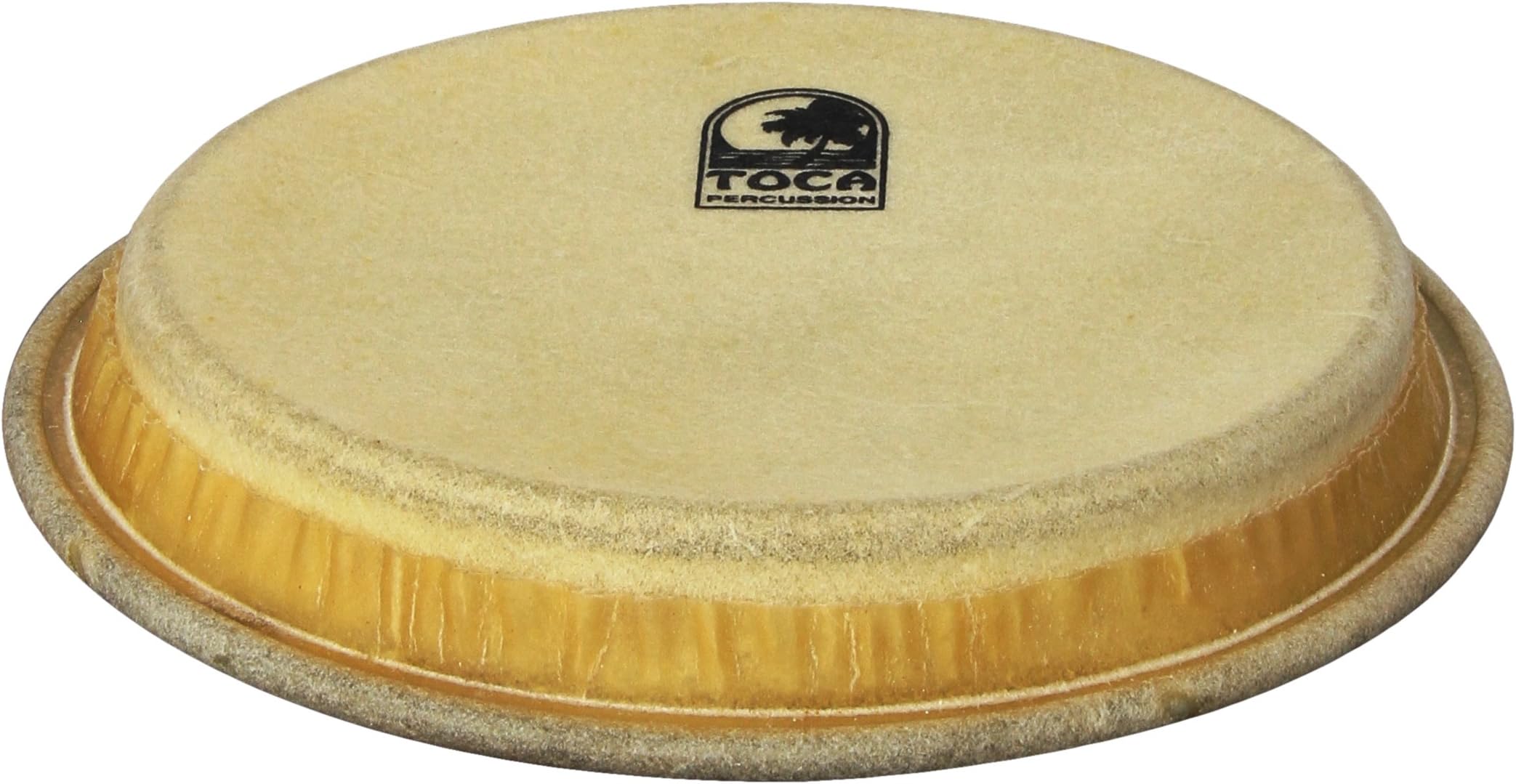 Amazon.com: Latin Percussion CP221B 7-Inch Replacement Bongo Head for ...