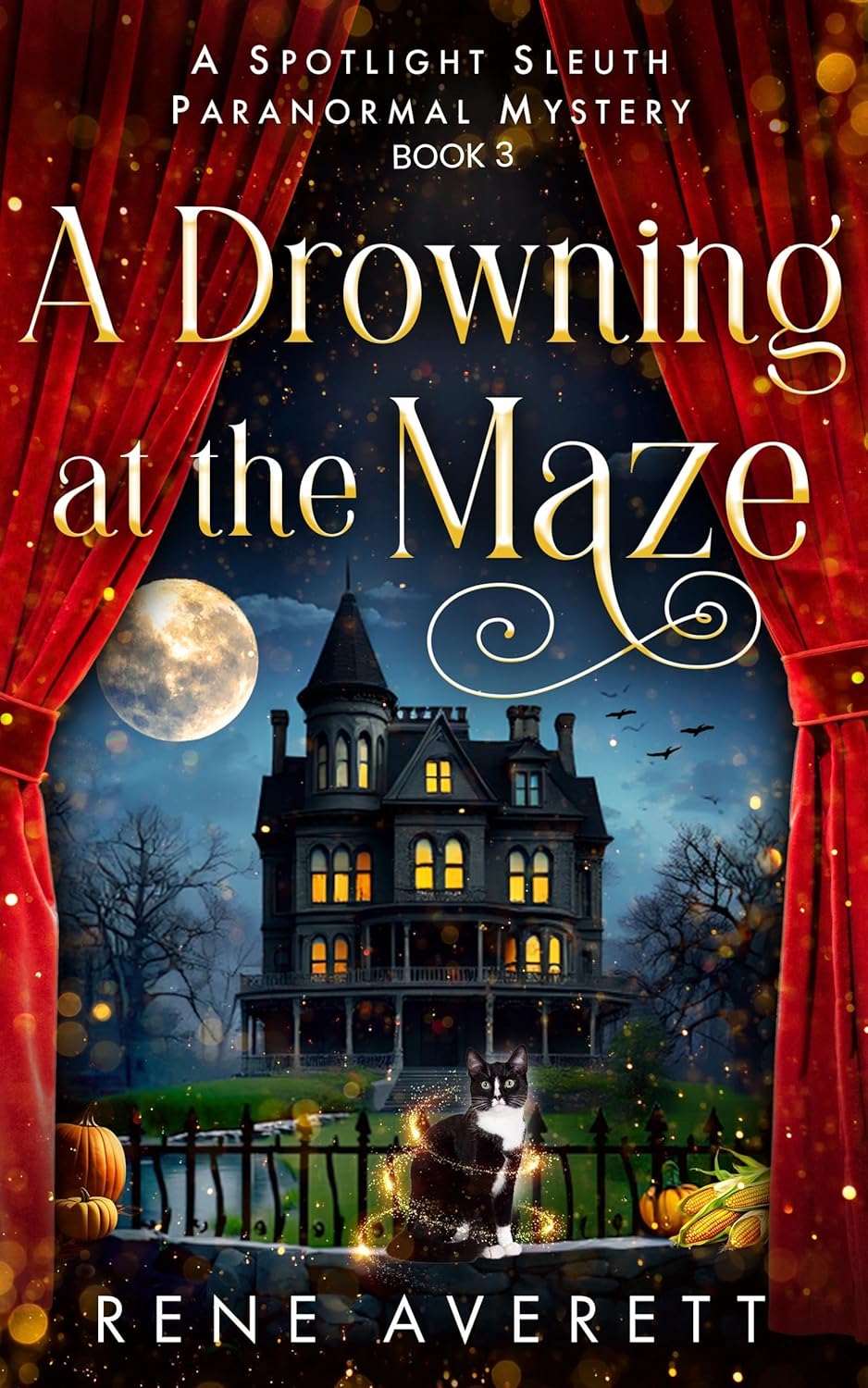 Amazon.com: A Drowning at the Maze : Spotlight Sleuth Book 3 ...