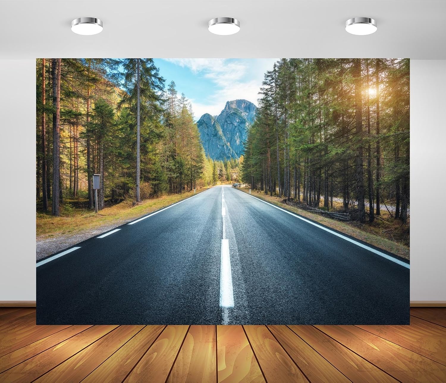 Amazon.com : BELECO 9x6ft Fabric Mountain Road Backdrop Green Forest ...
