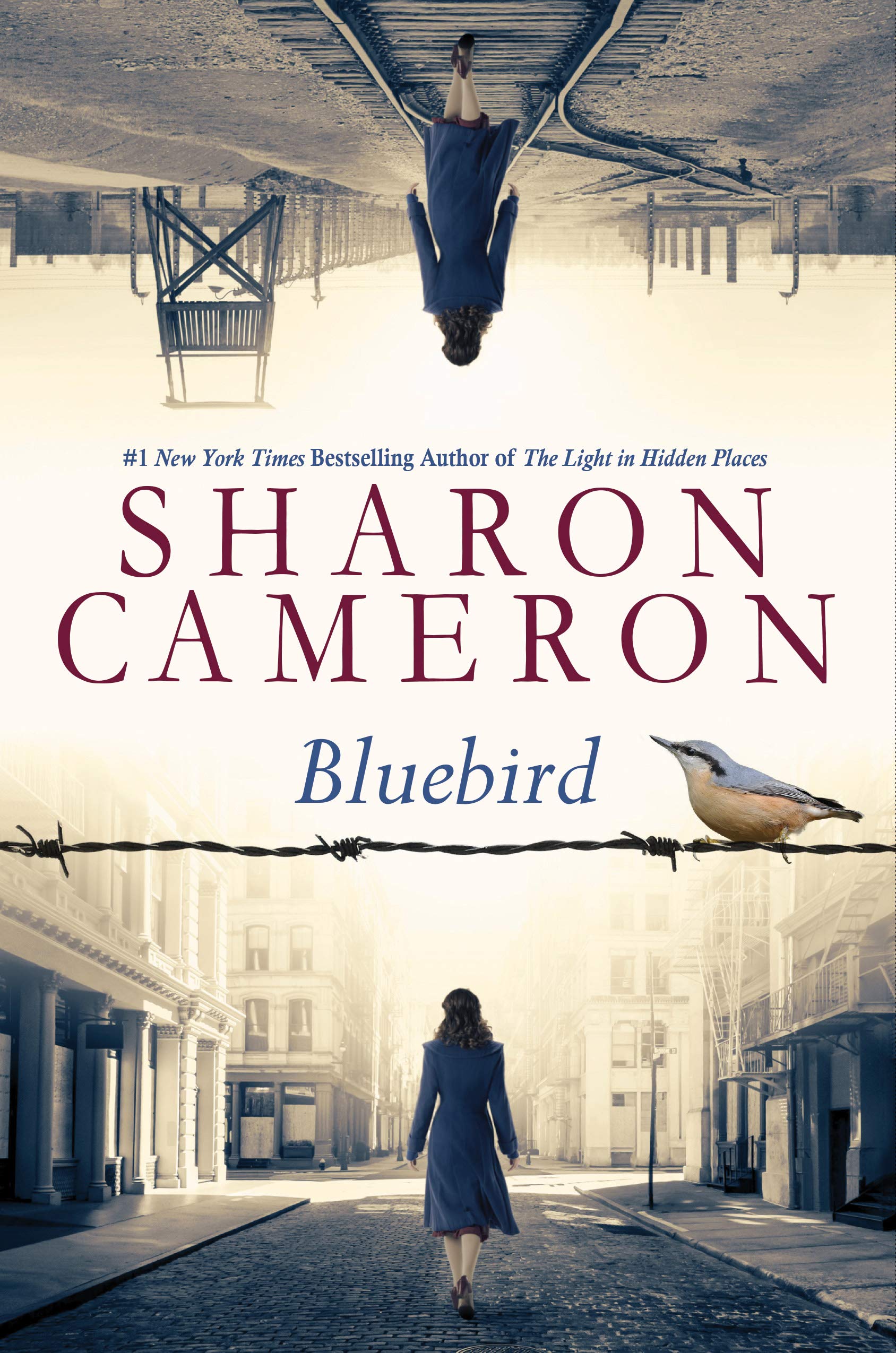 Amazon.com: Bluebird: 9781338355963: Cameron, Sharon: Books